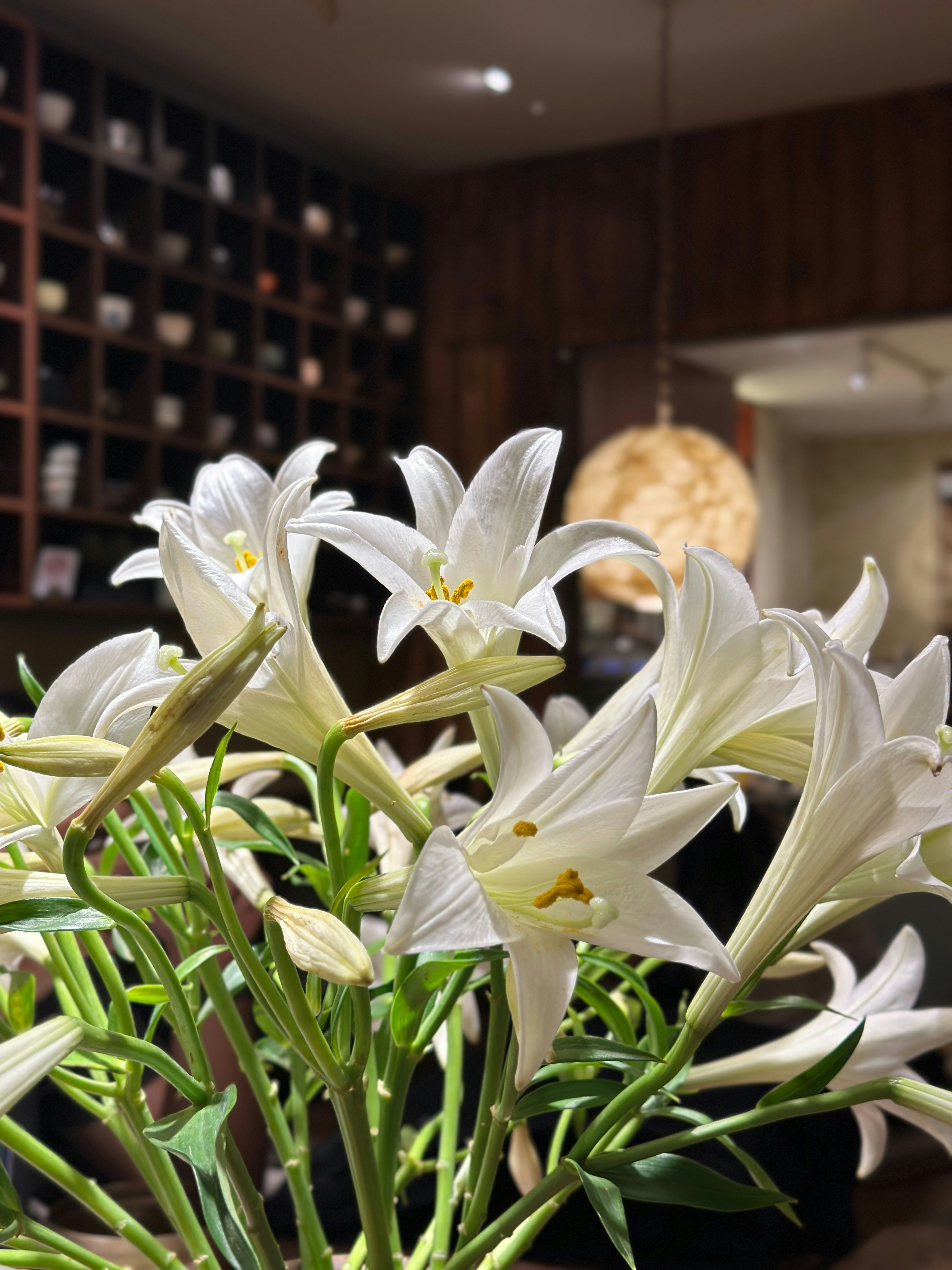 White lilies take center stage in a warm, cozy cafe