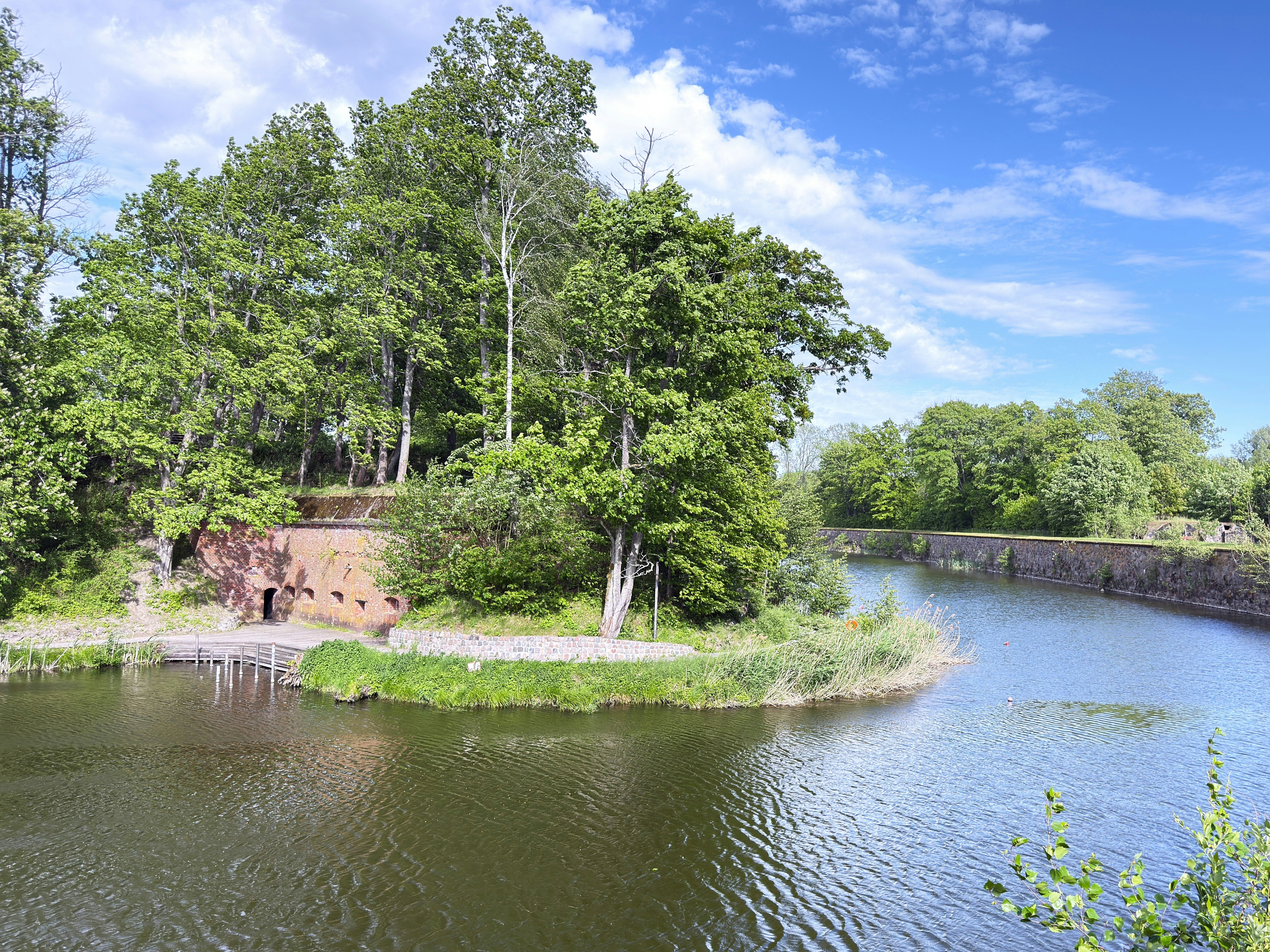 Island of Trees Nestled at the Bend