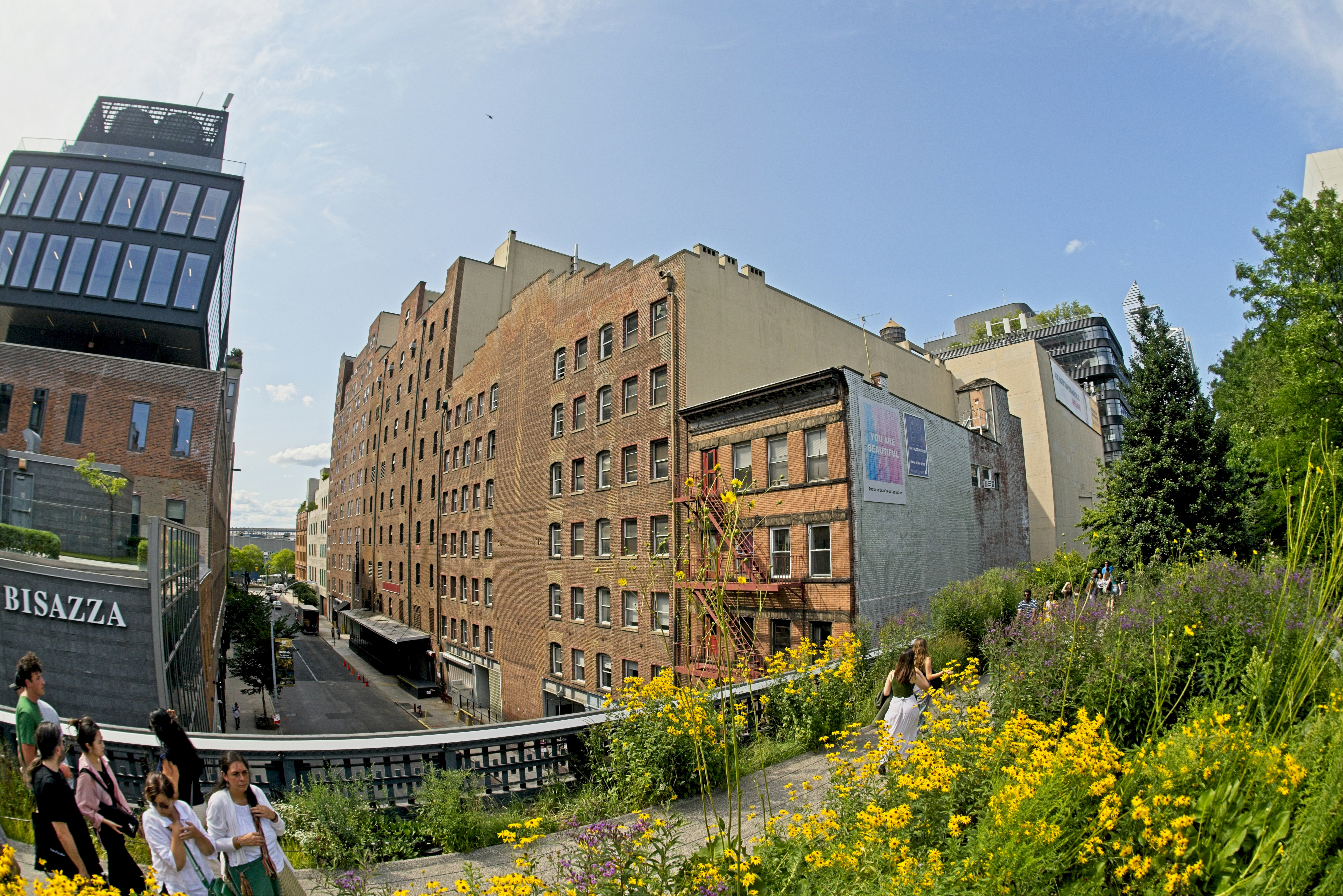 Flowers on the High Line, New York. On a bright summer day, yellow black-eyed Susans and purple wildflowers fill the planted beds along this elevated park in Manhattan's west side. Visitors walk the curving path past the lush greenery while historic red-brick warehouses with fire escapes rise across the street below. A modern glass-topped building towers on the left. The fisheye perspective bends the skyline under a wide blue sky, showing how nature and city life blend on this former railway line turned public park.