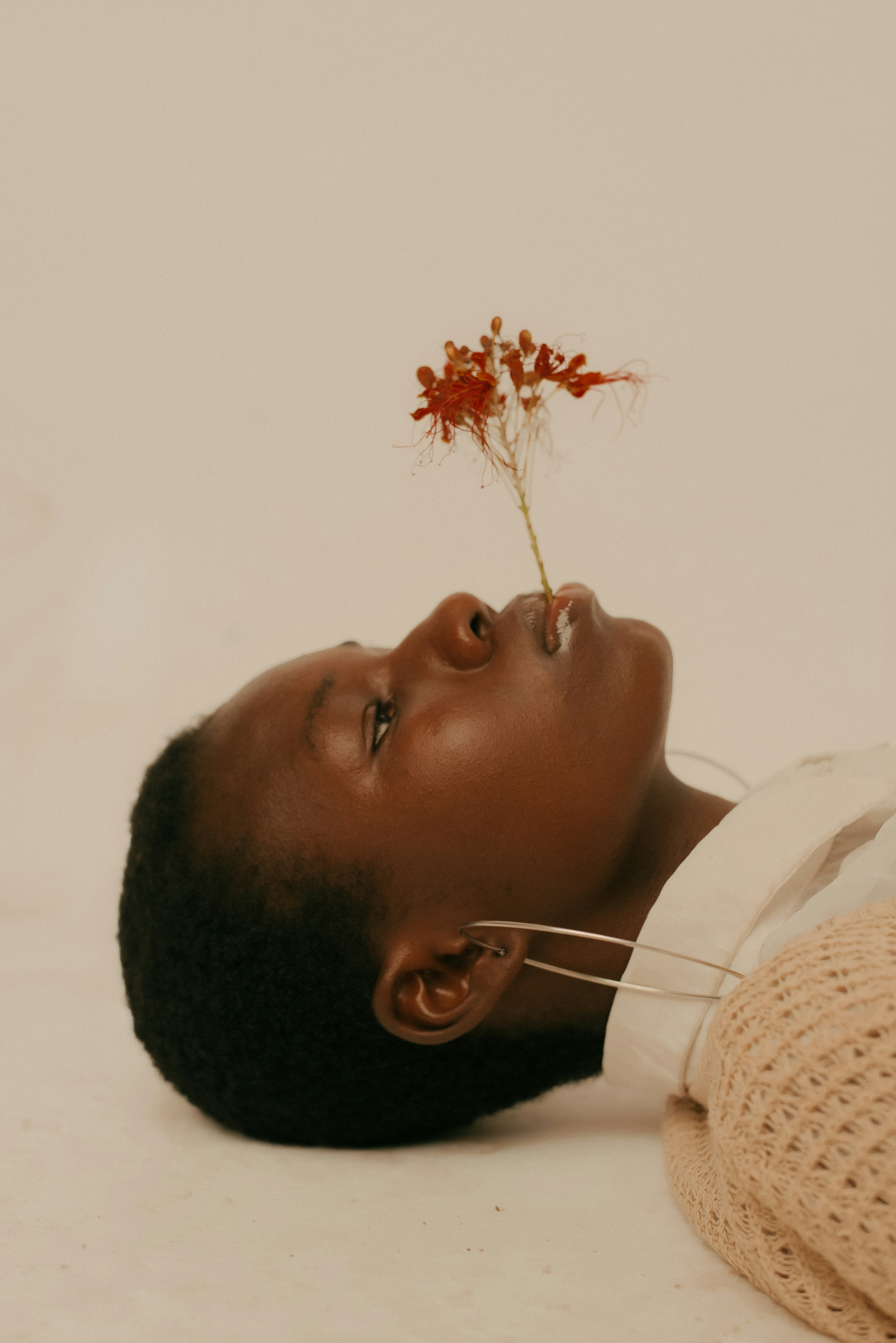 Blossoming Silence: Amidst the quiet petals, a profound narrative unfolds whispers of untold stories and the eloquence found in the pauses between words.