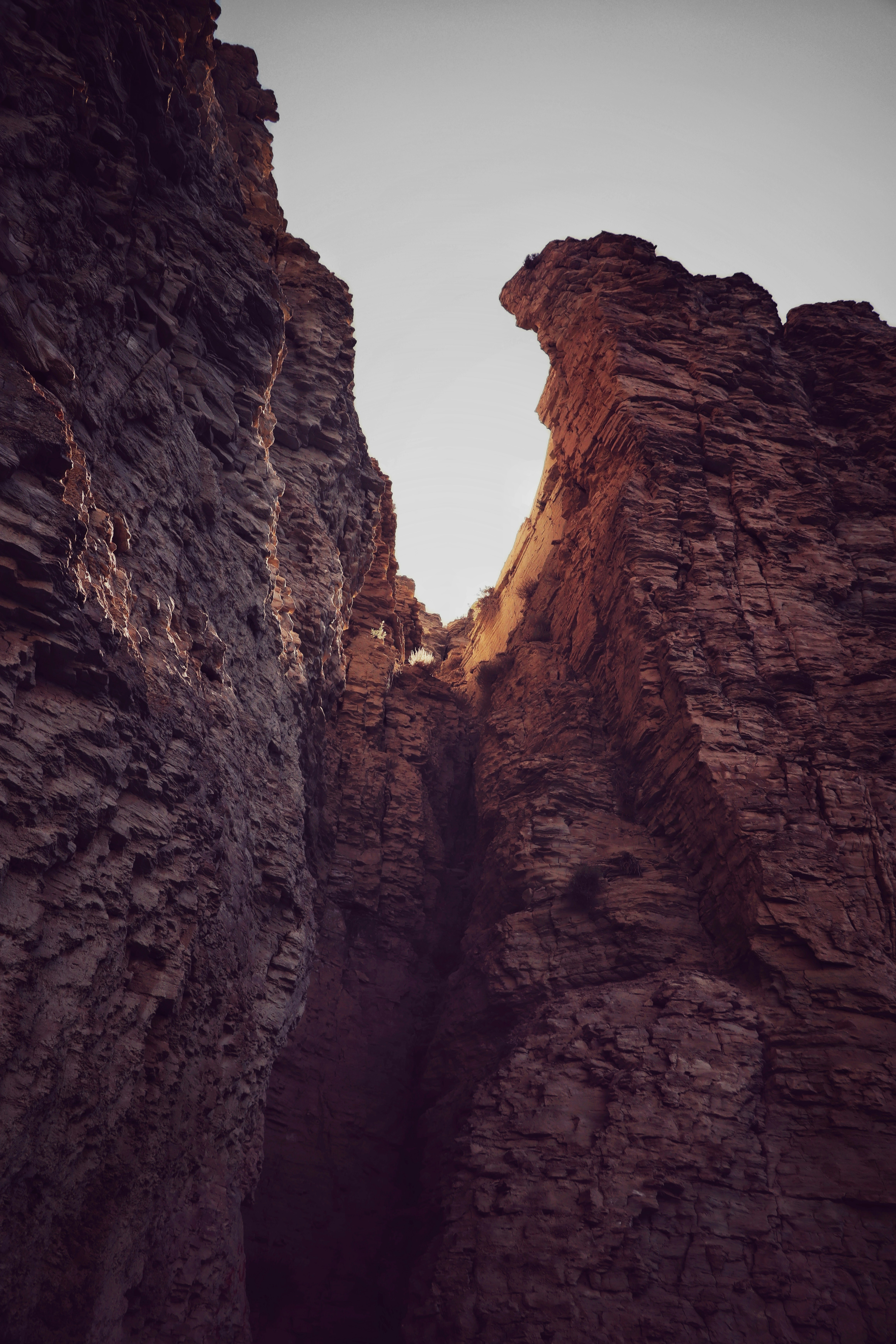 Grotto Between Giants: Narrow Canyon Embracing the Light