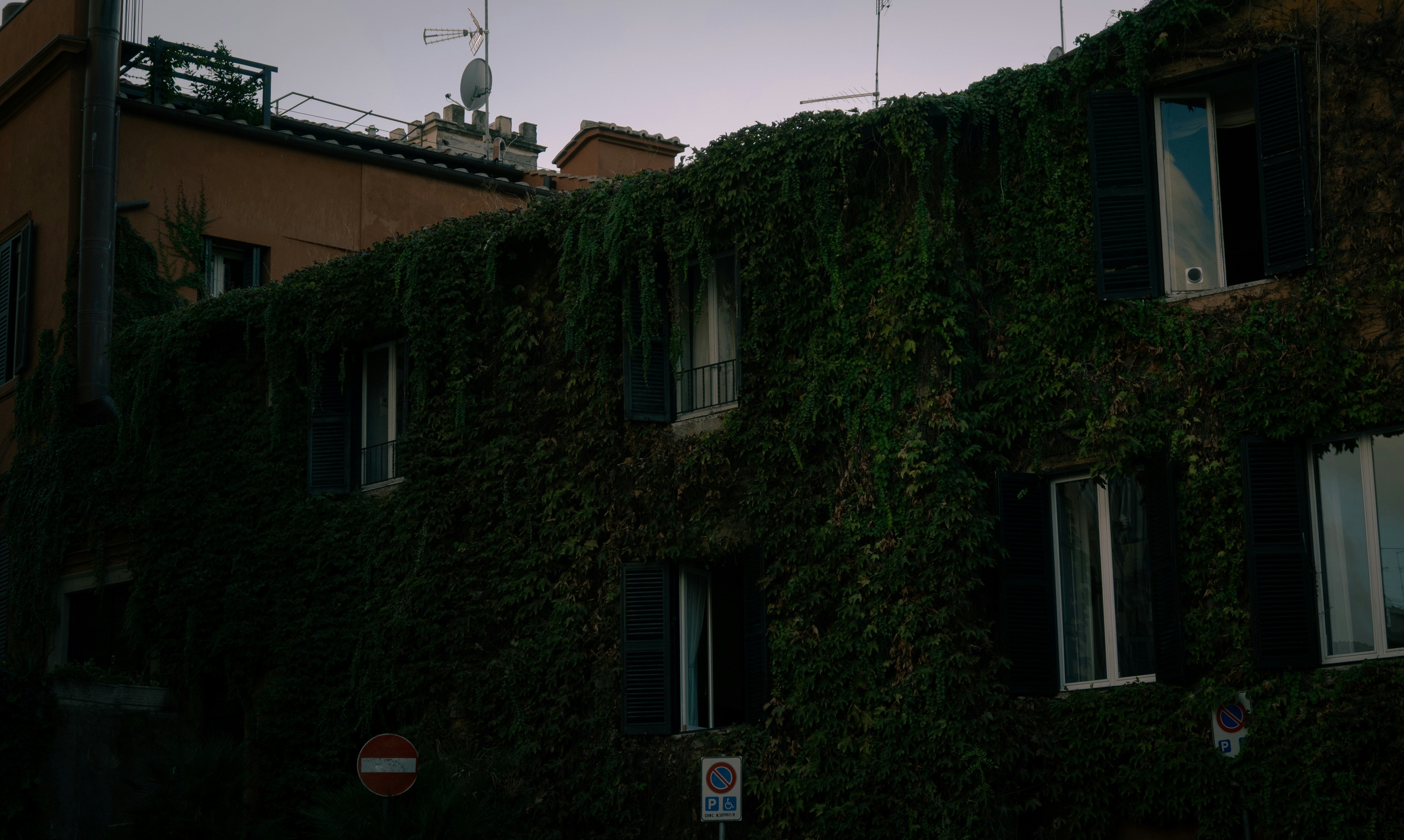 Green Facade Clad Building at Dusk