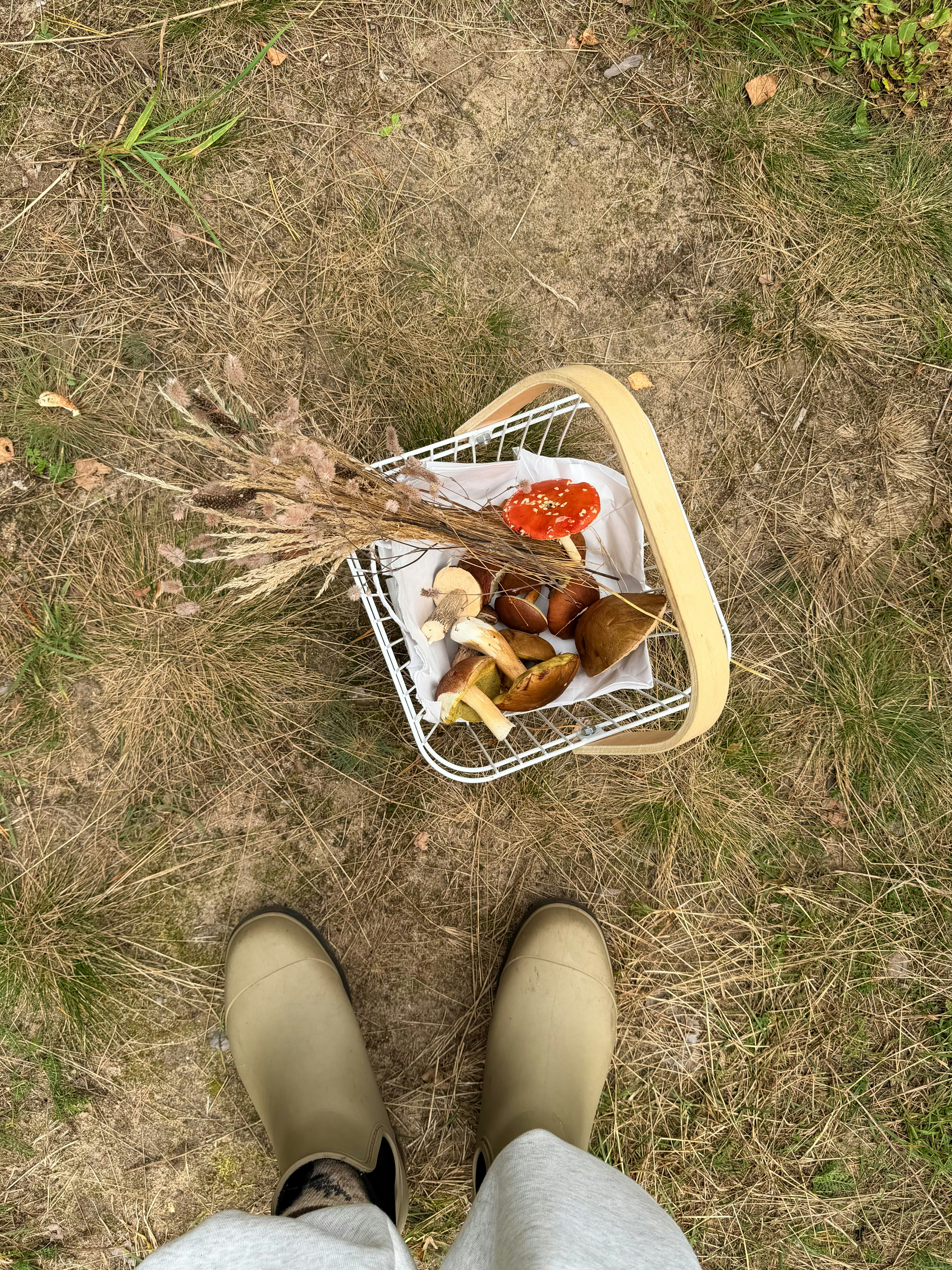 Boots, Basket, and Wildflowers: A Ground-Level Snack Break