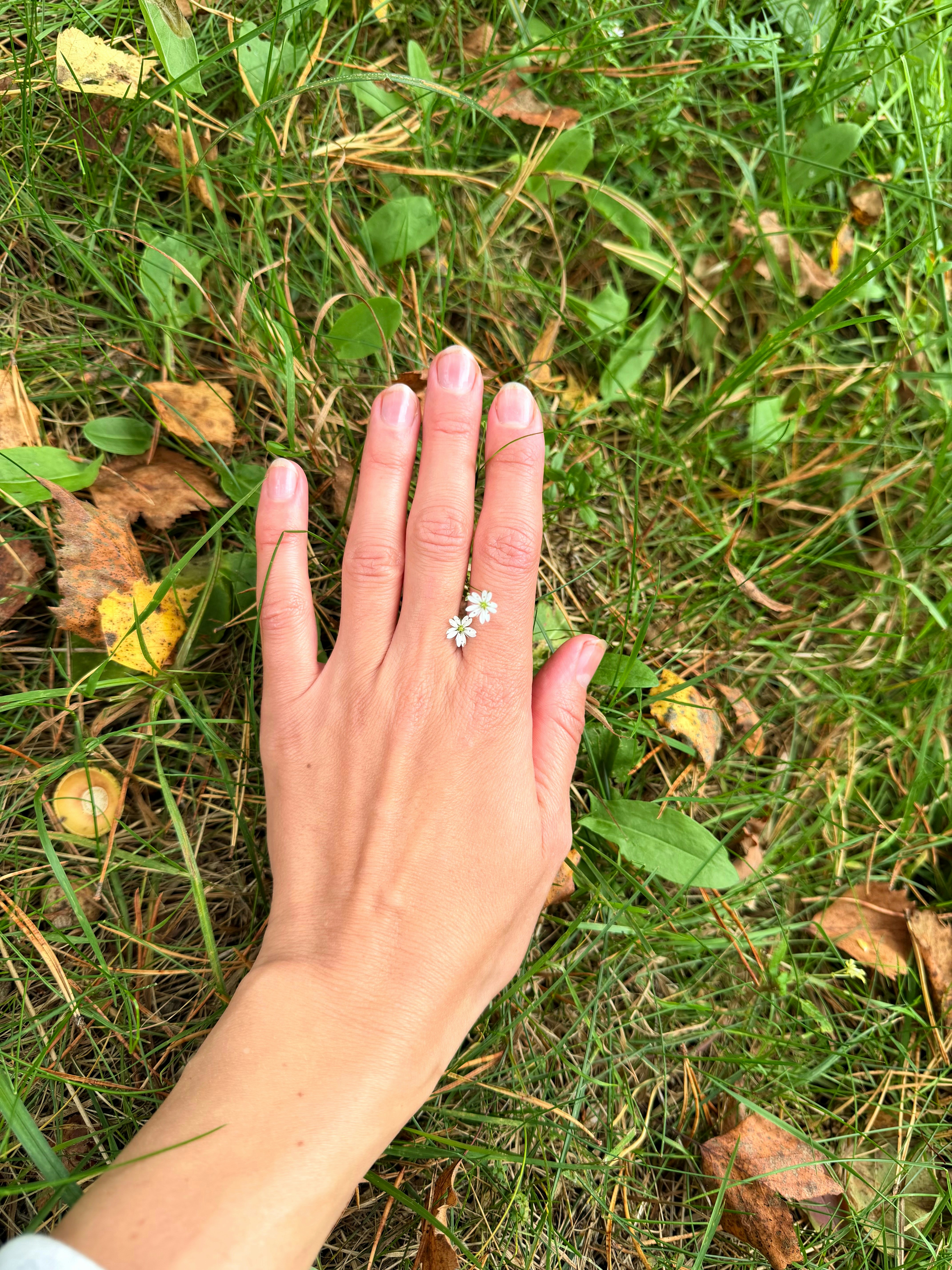 A Delicate Ring Resting on a Hand Surrounded by Grass and Leaves