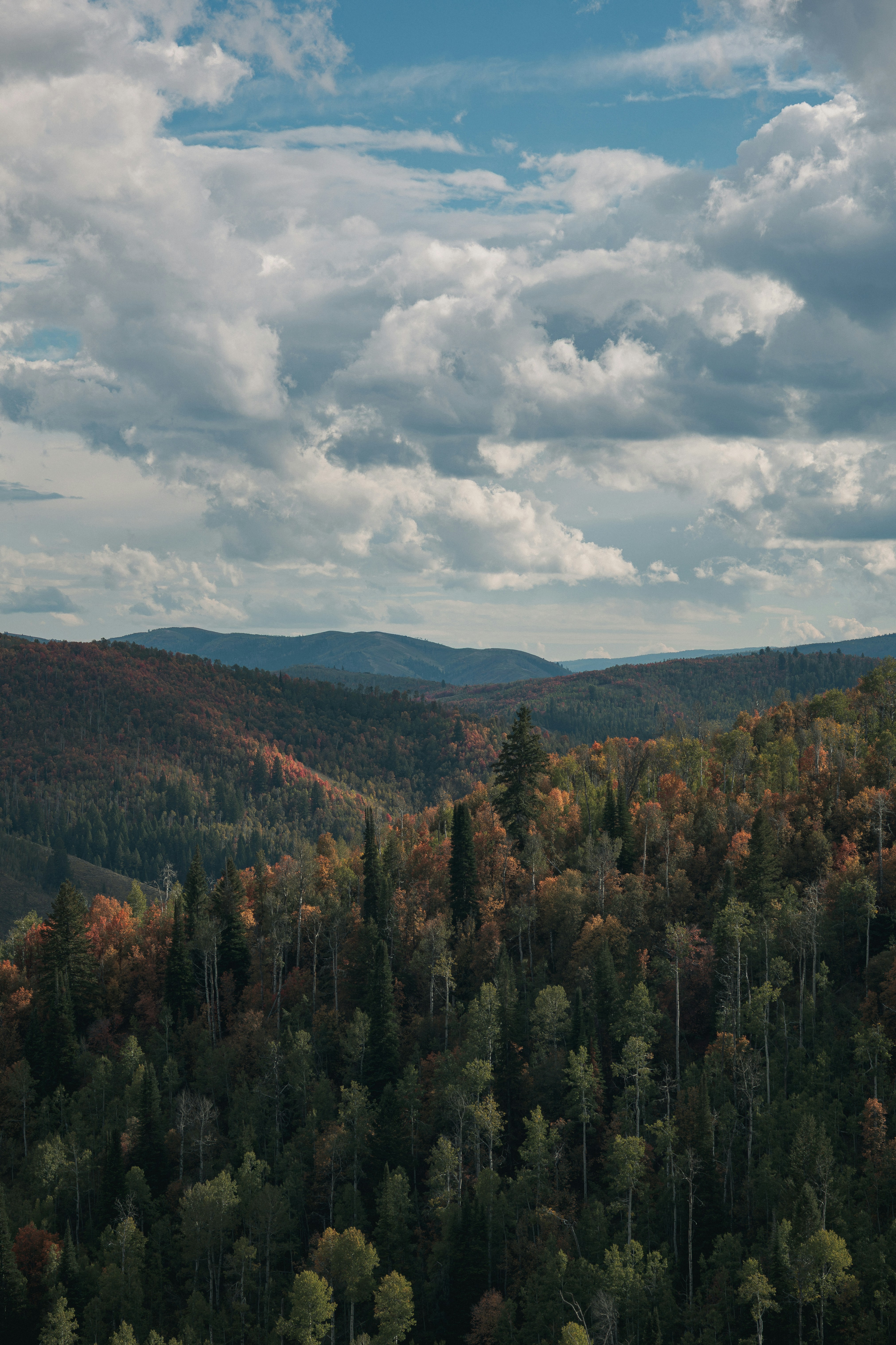 Photo by Taylor Finklea with Canon EOS R7