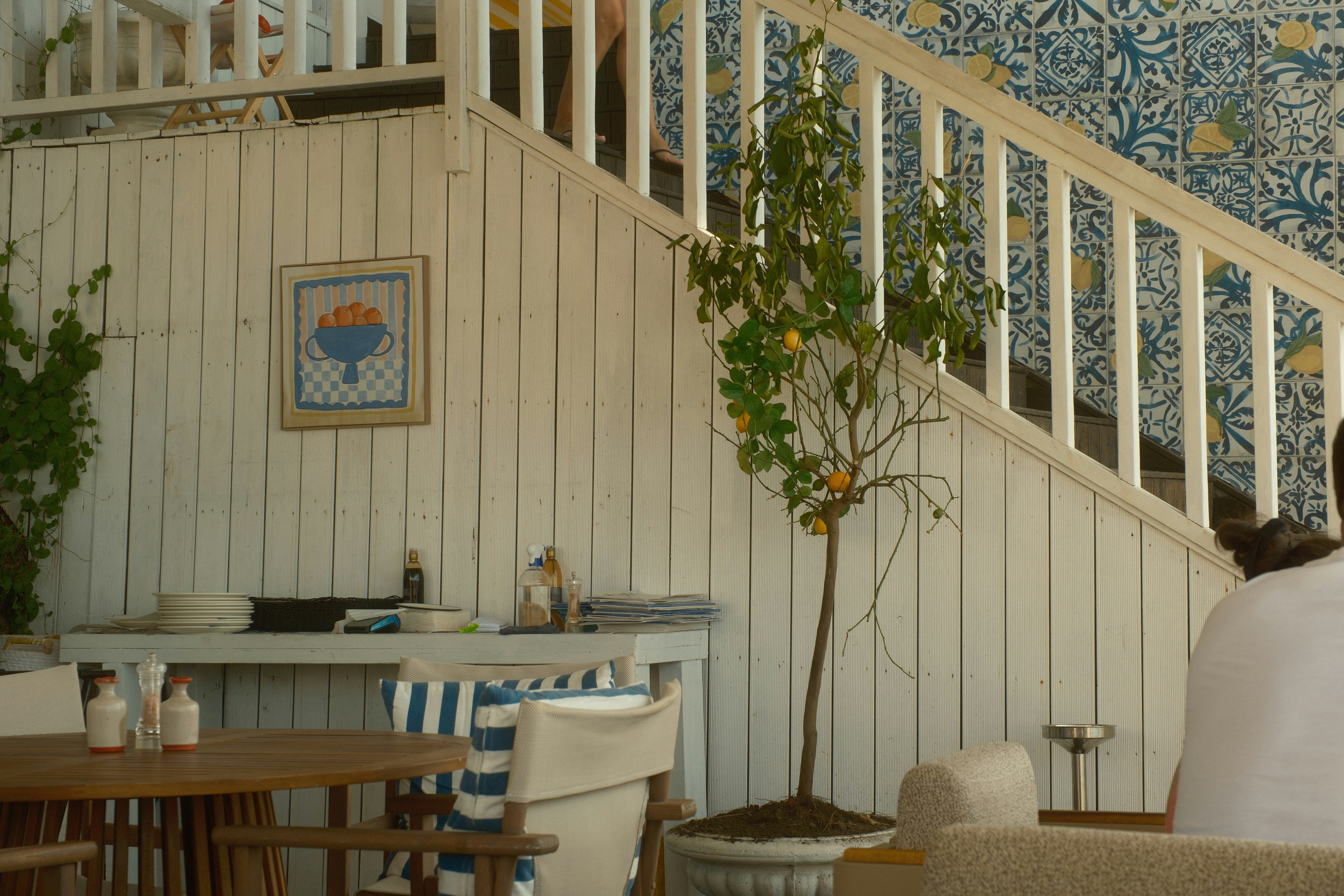 Sunlit Bistro Nook with Potted Olive and Blue Wallpaper