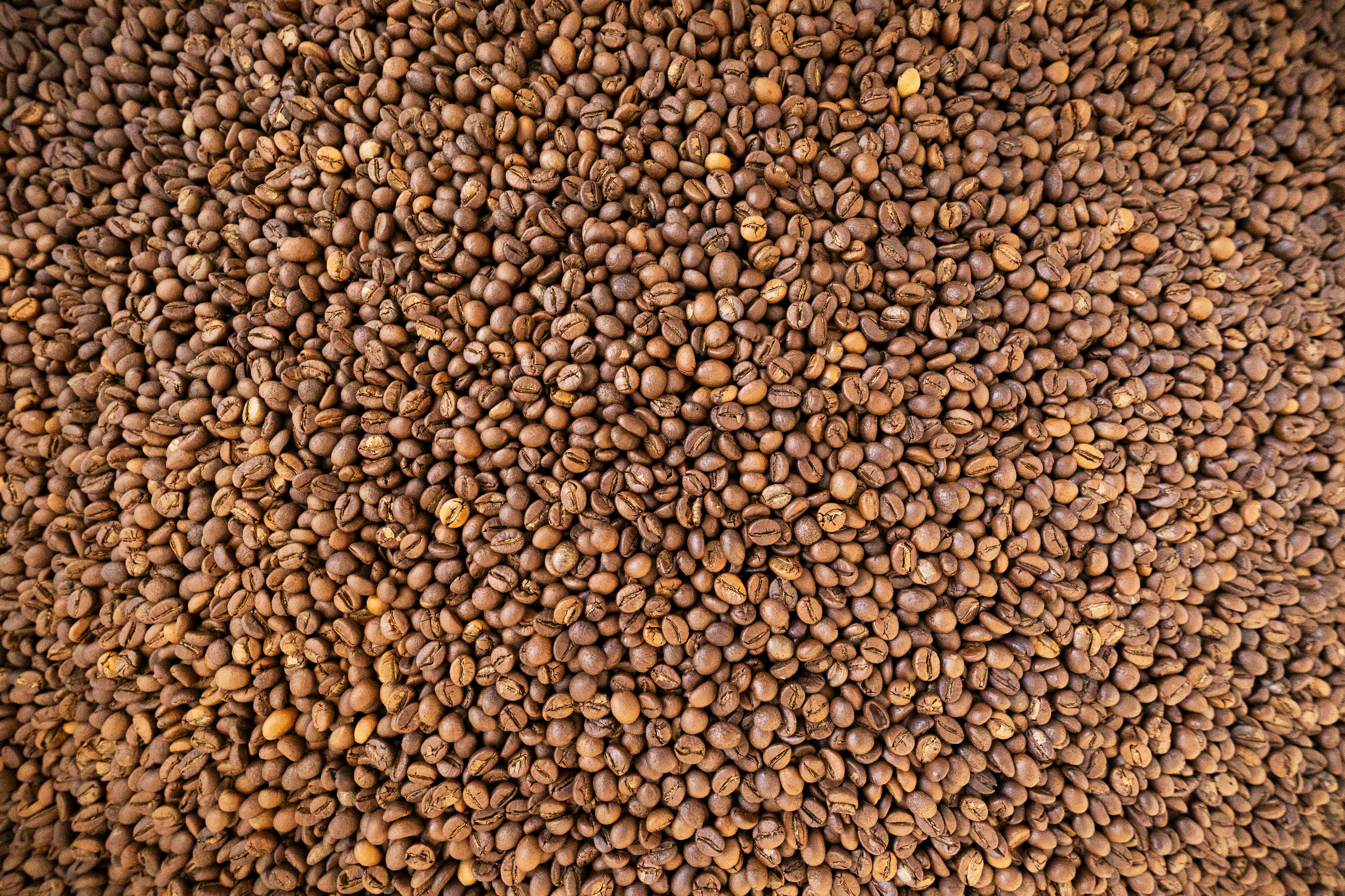 Close-up of roasted coffee beans filling the frame, revealing textured surfaces and warm brown tones. The image highlights a dense, uniform surface suitable for product photography or a backdrop.