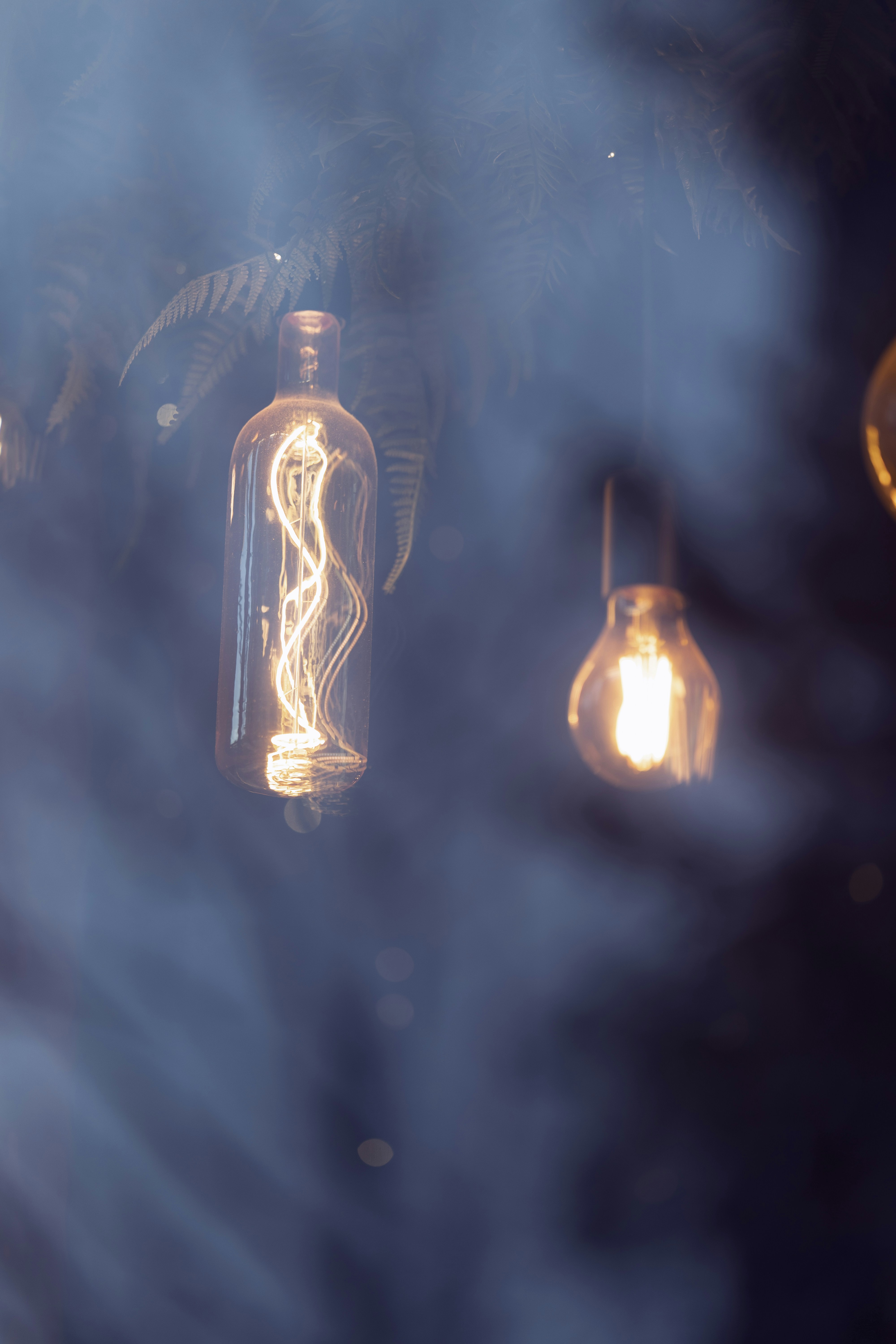 Warm Edison Glow: Hanging Filaments in Blue Haze