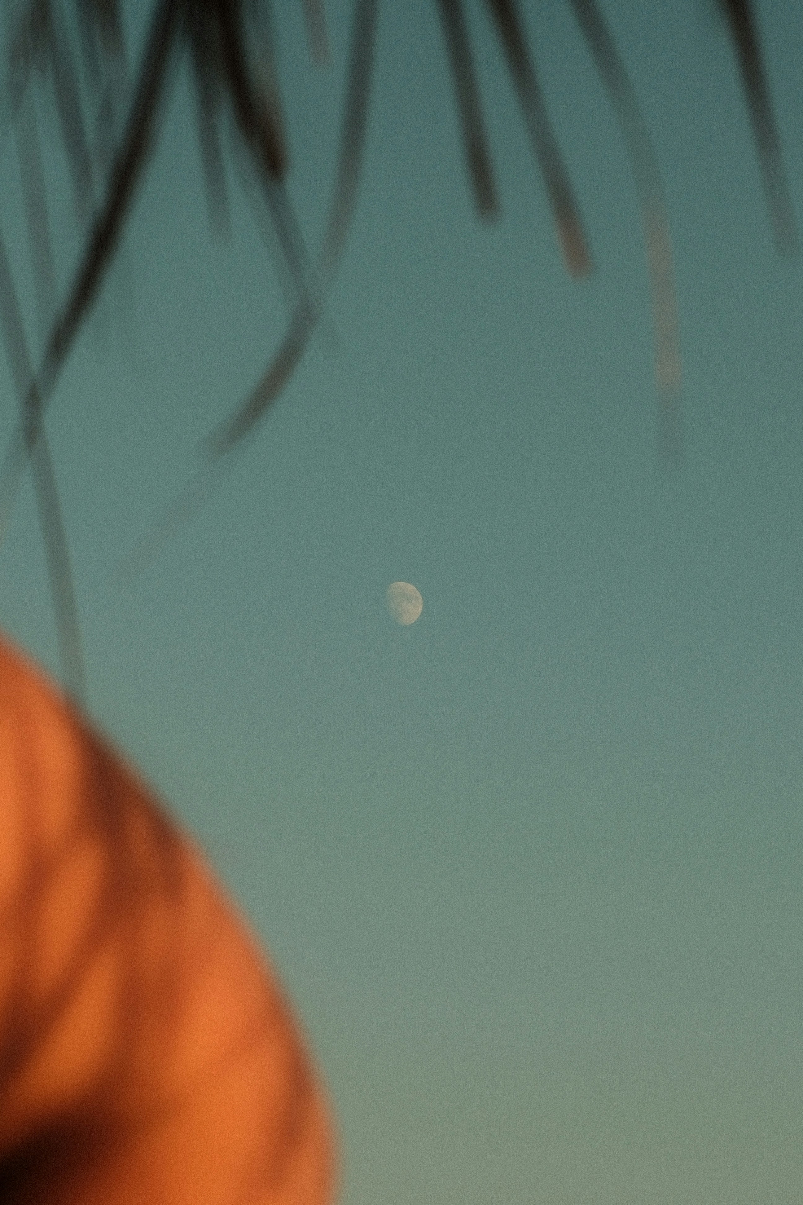 Moonlit Calm: Crescent in a Coastal Sky