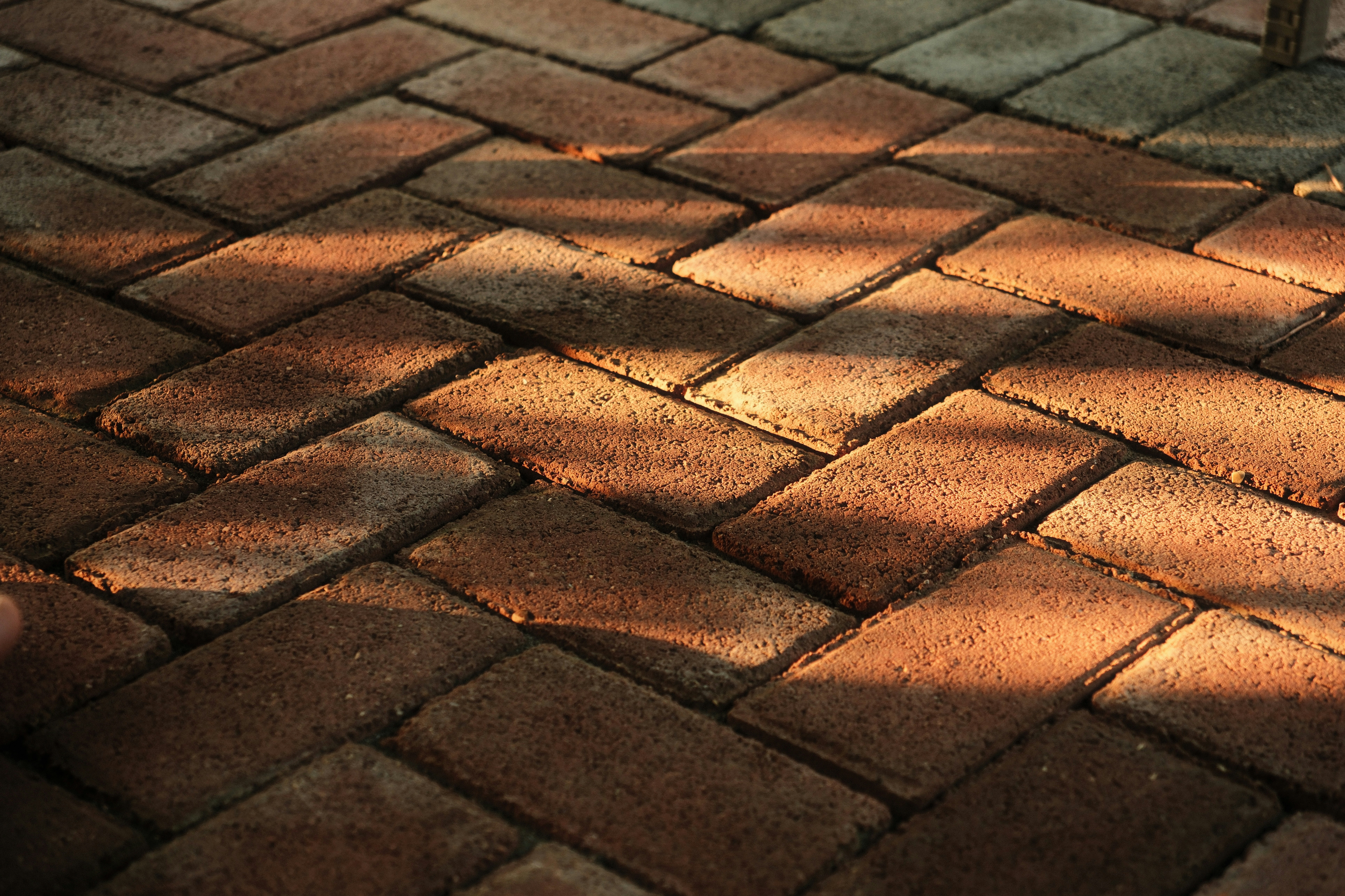 Sunlit Brickwork in Dappled Evening Shadows
