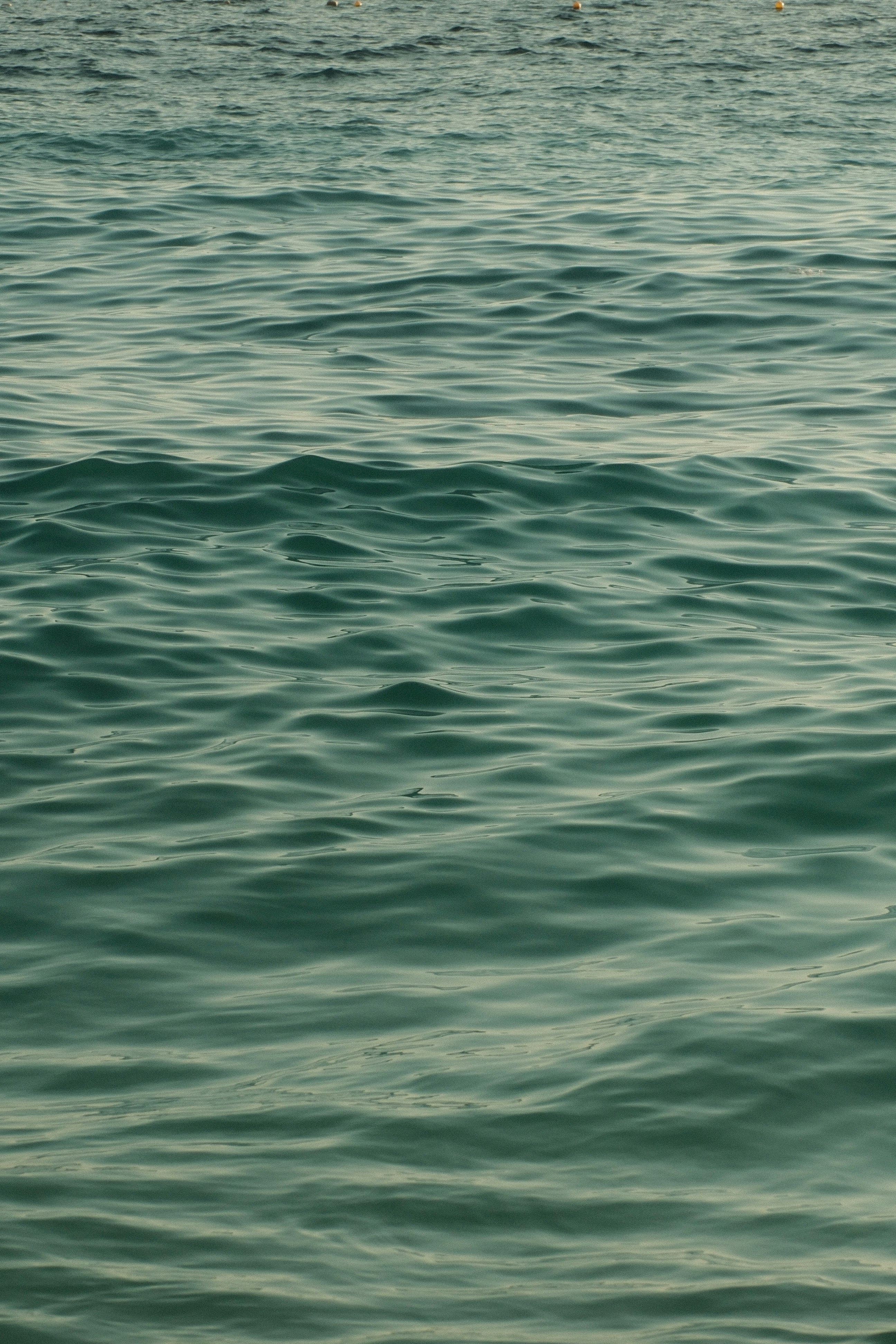 Teal Waves: A Quiet Sea Under Soft Light