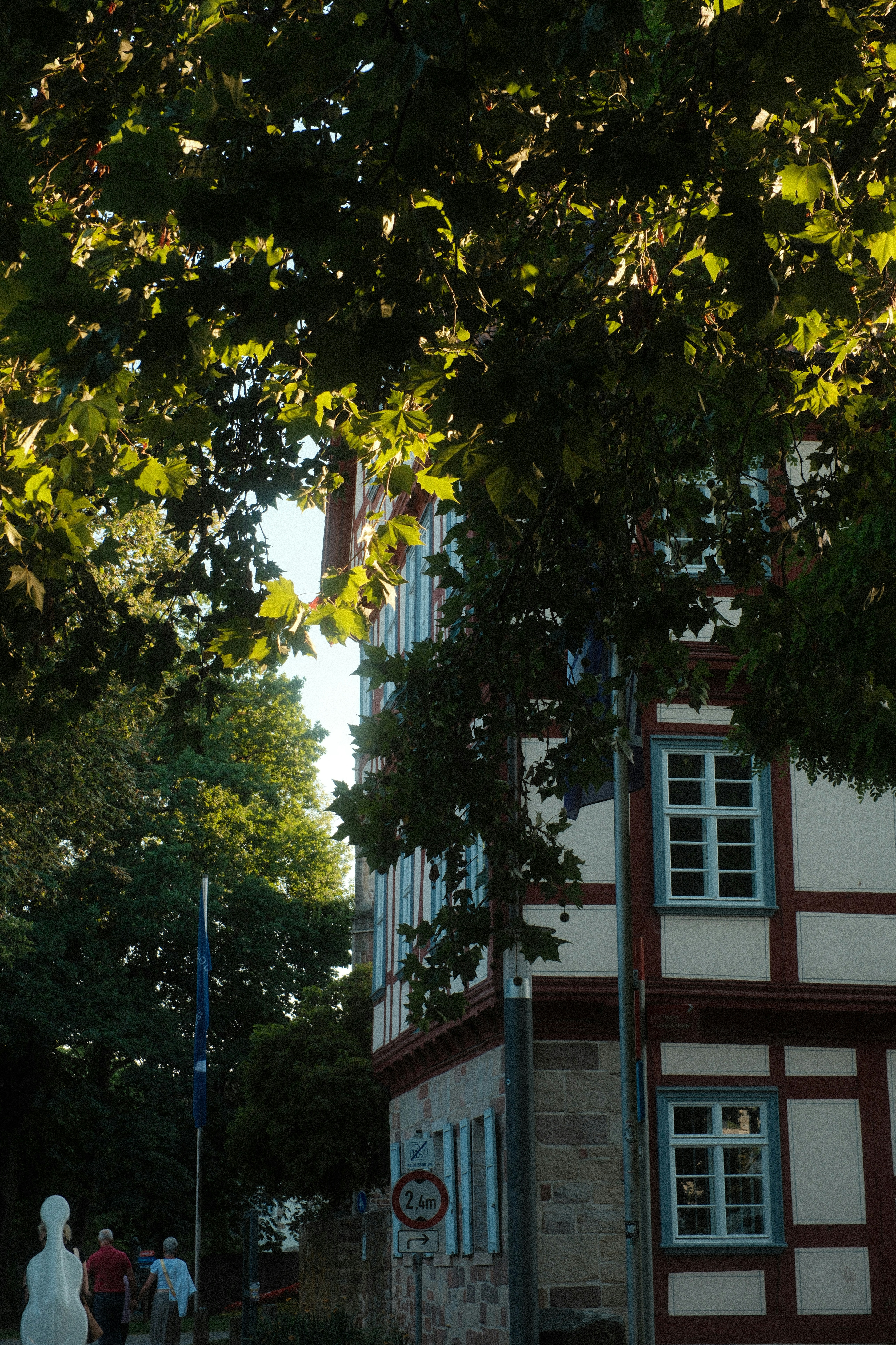 Sunlit Leaves Frame a Historic Corner