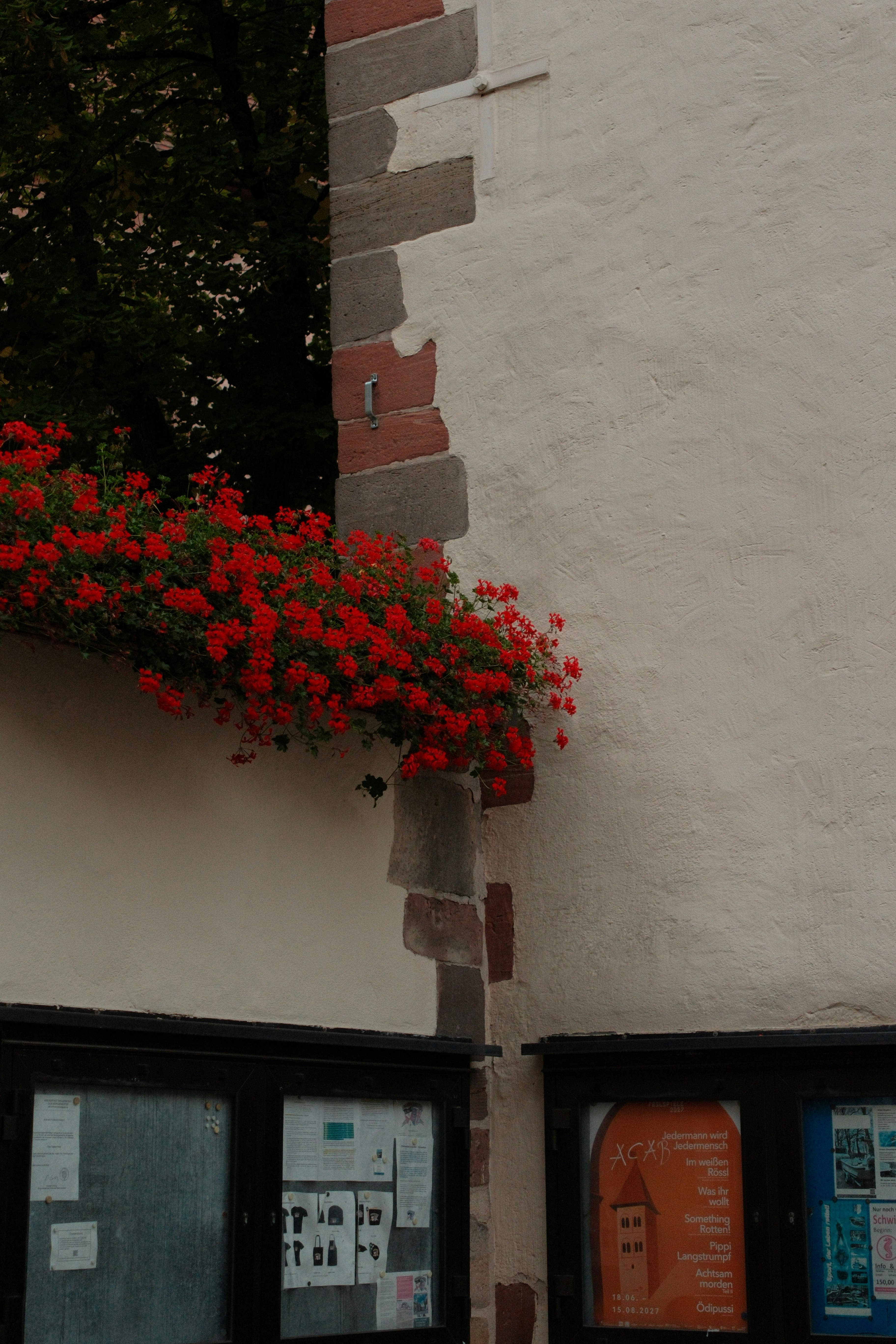 Crimson Bunches by the Stone Corner