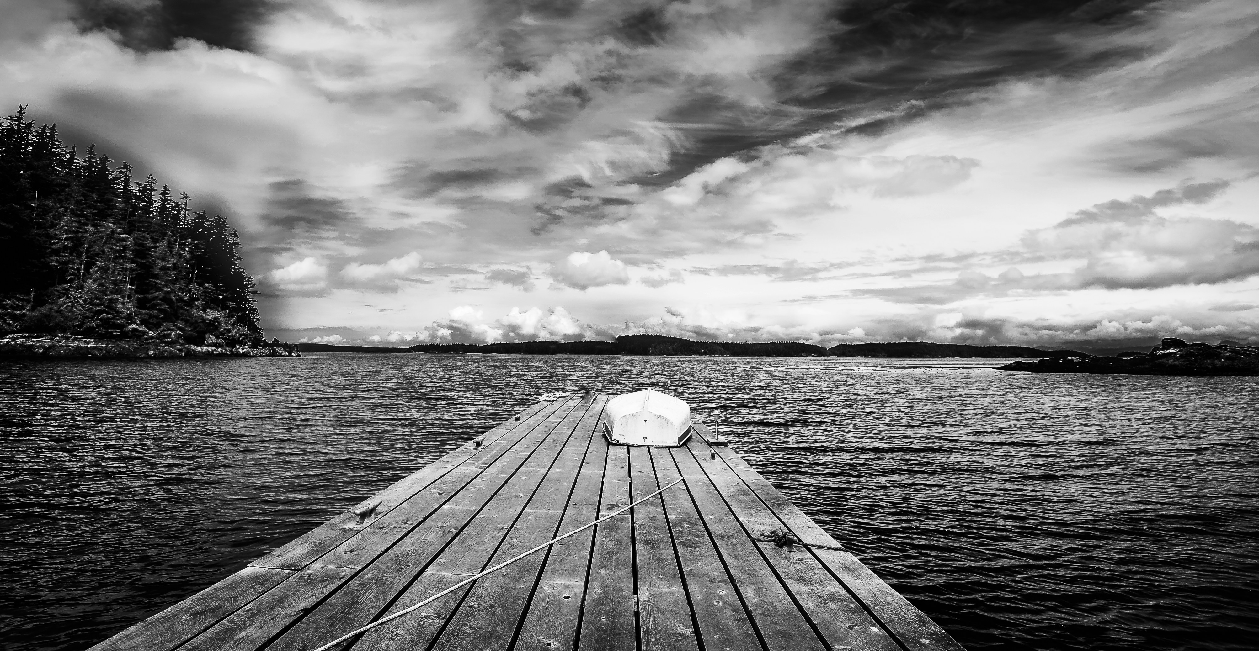 Driftwood Pier Toward the Horizon