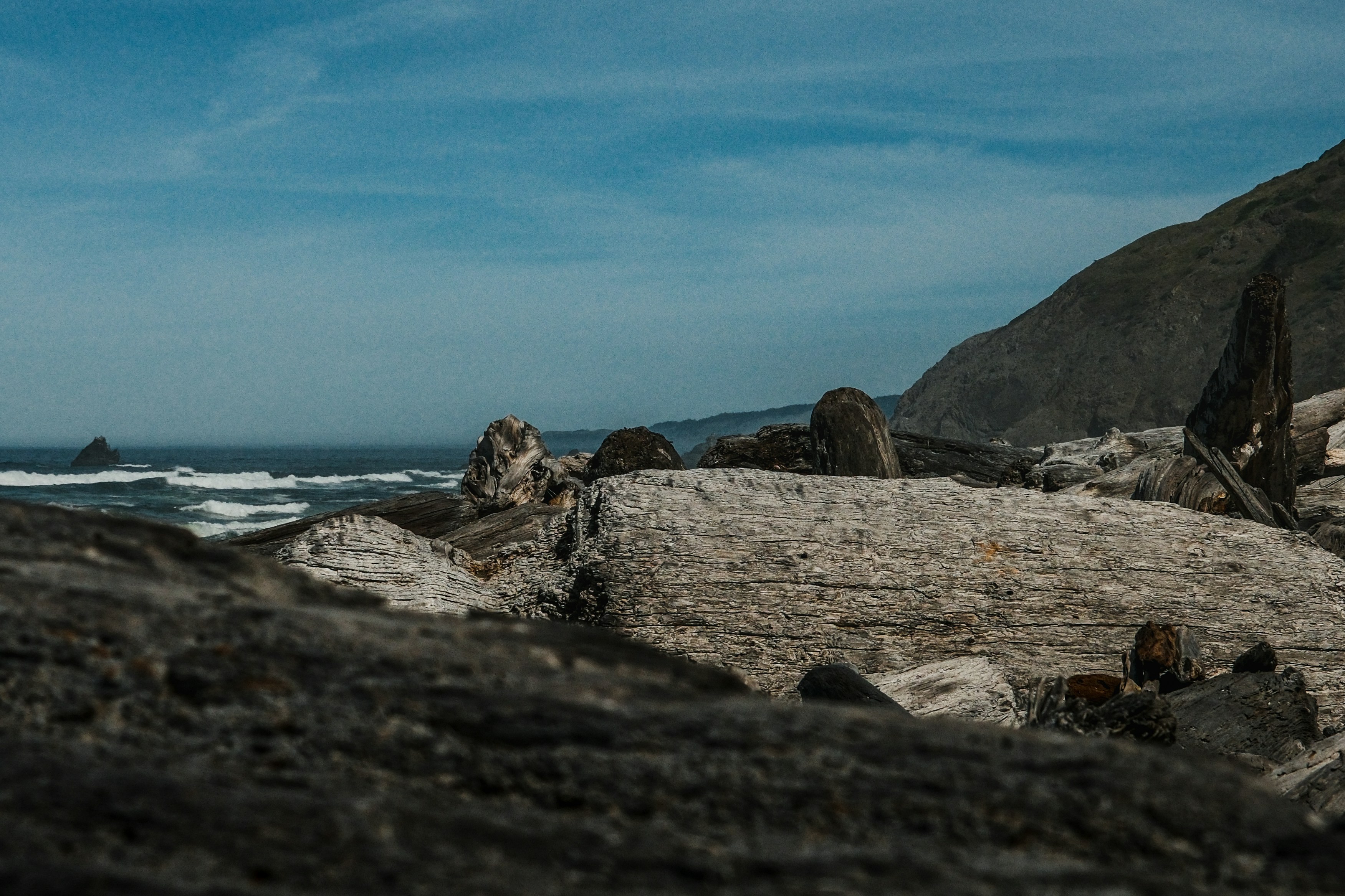 Rugged shoreline echoes with weathered driftwood under a clear coastal sky