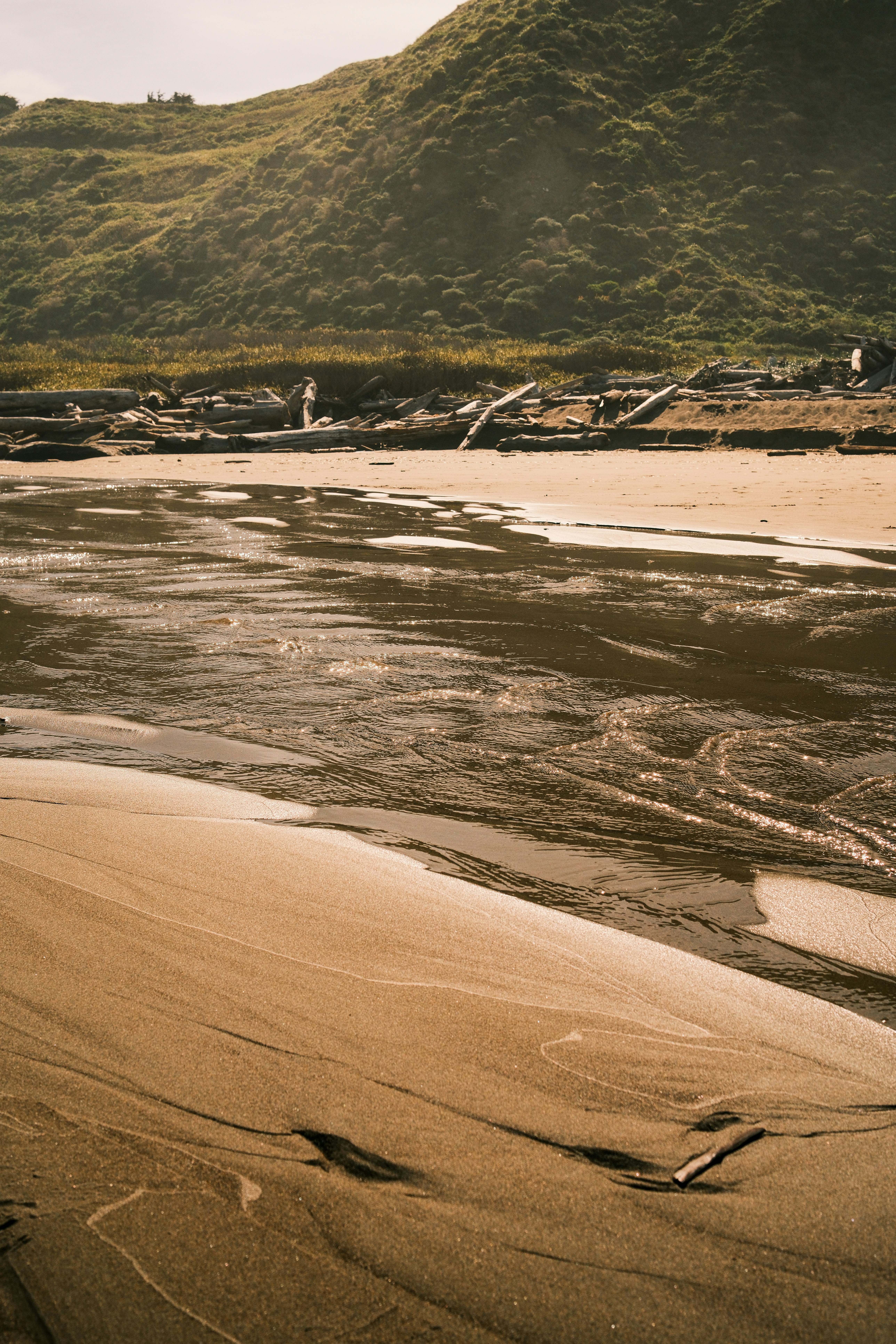 Drift and Dunes: Coastal Sand, Tide Lines, and a Quiet Shore