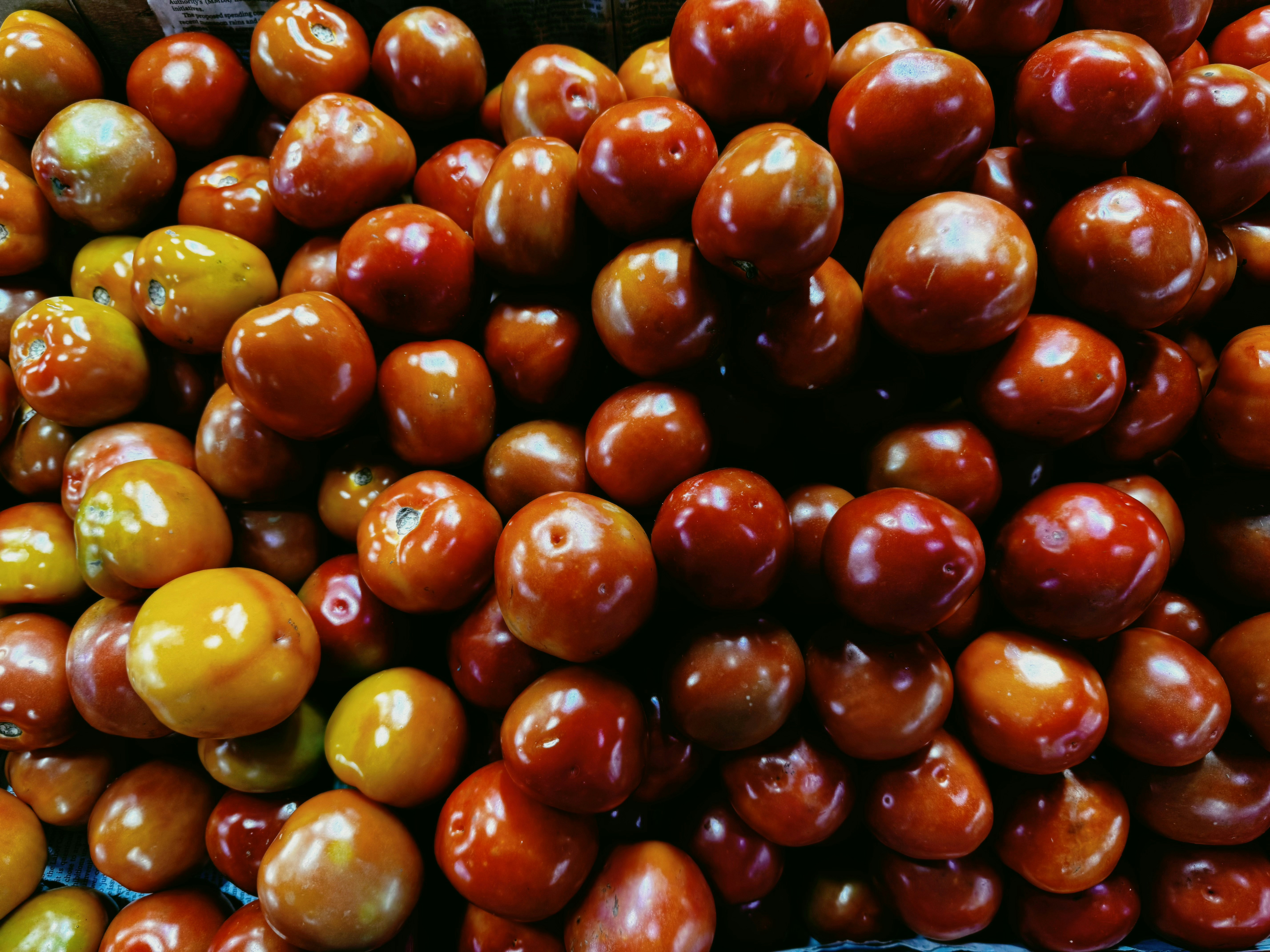 Glossy Cherry Heap Under Warm Light
