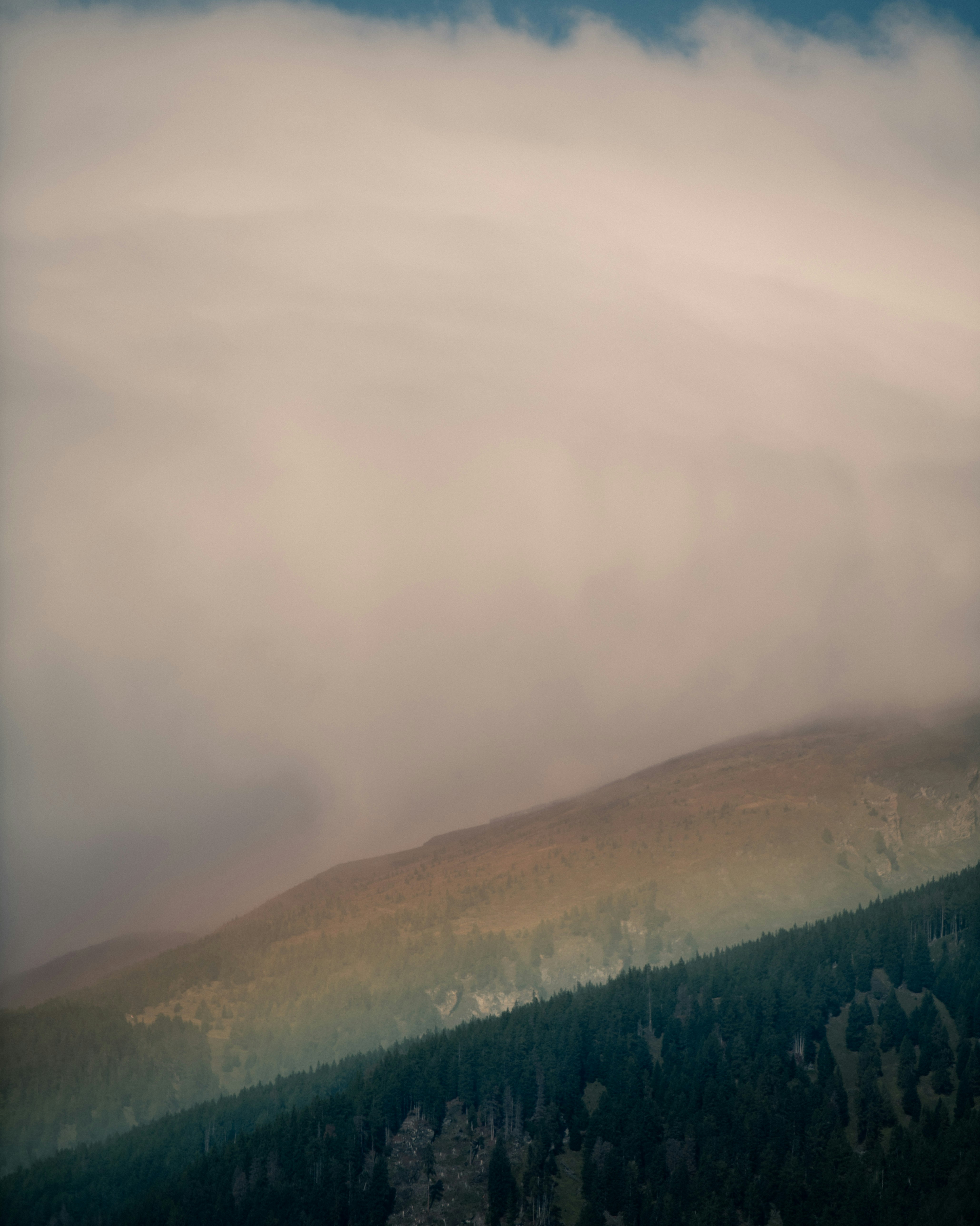 Mist over the Slope: Valley Fog Roll across the Hillside