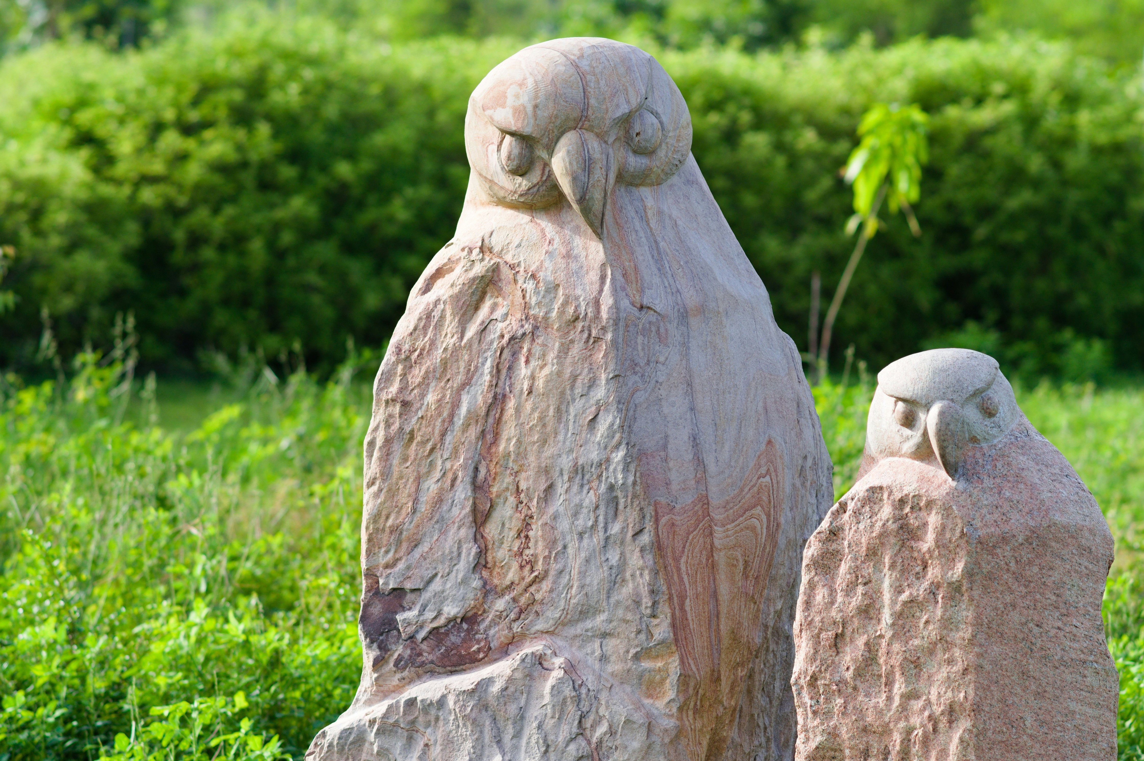 Stone Owls in a Meadow: Quiet Guardians of Greenery