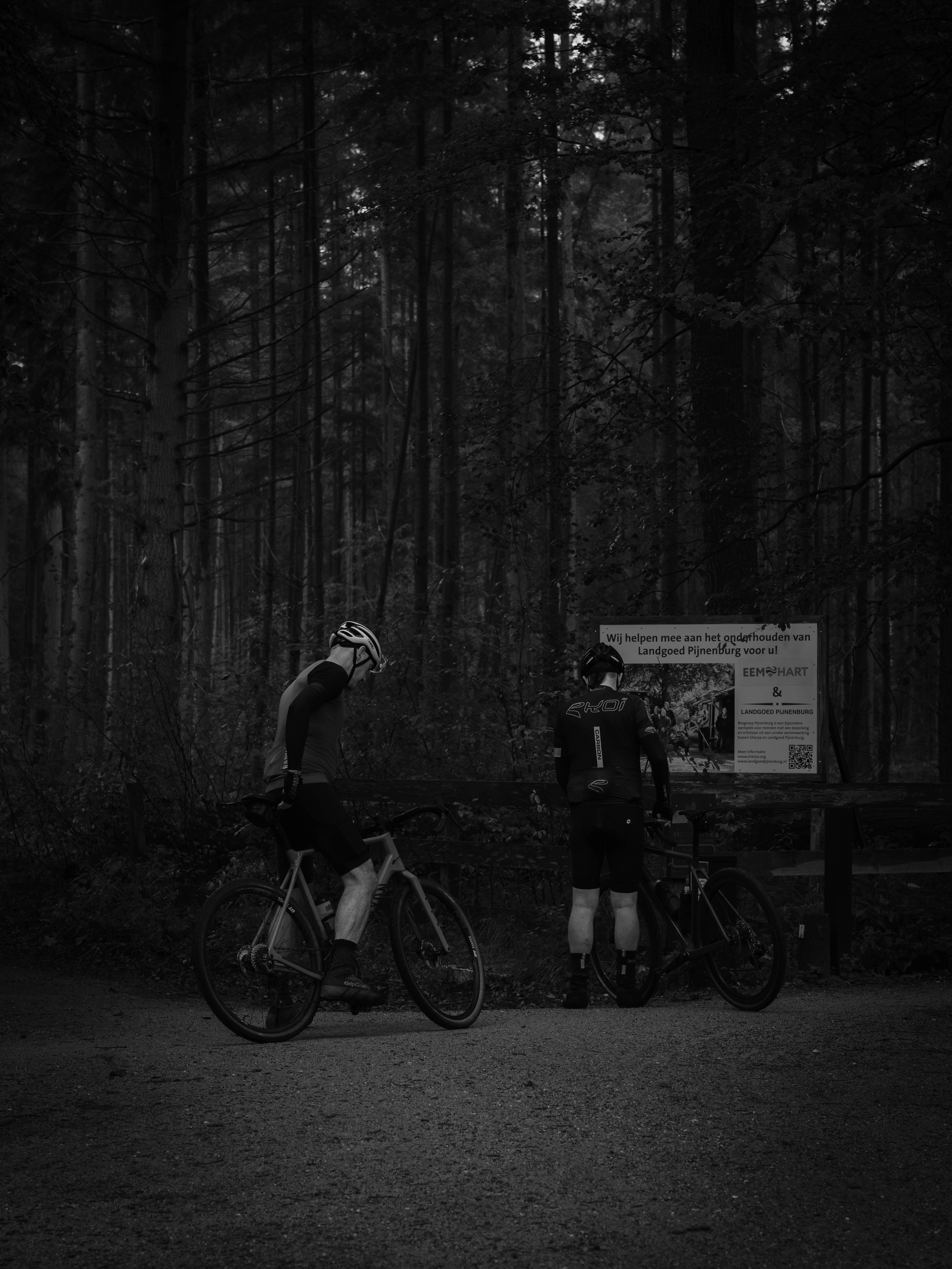 Two Cyclists Pause at a Forest Trail Sign