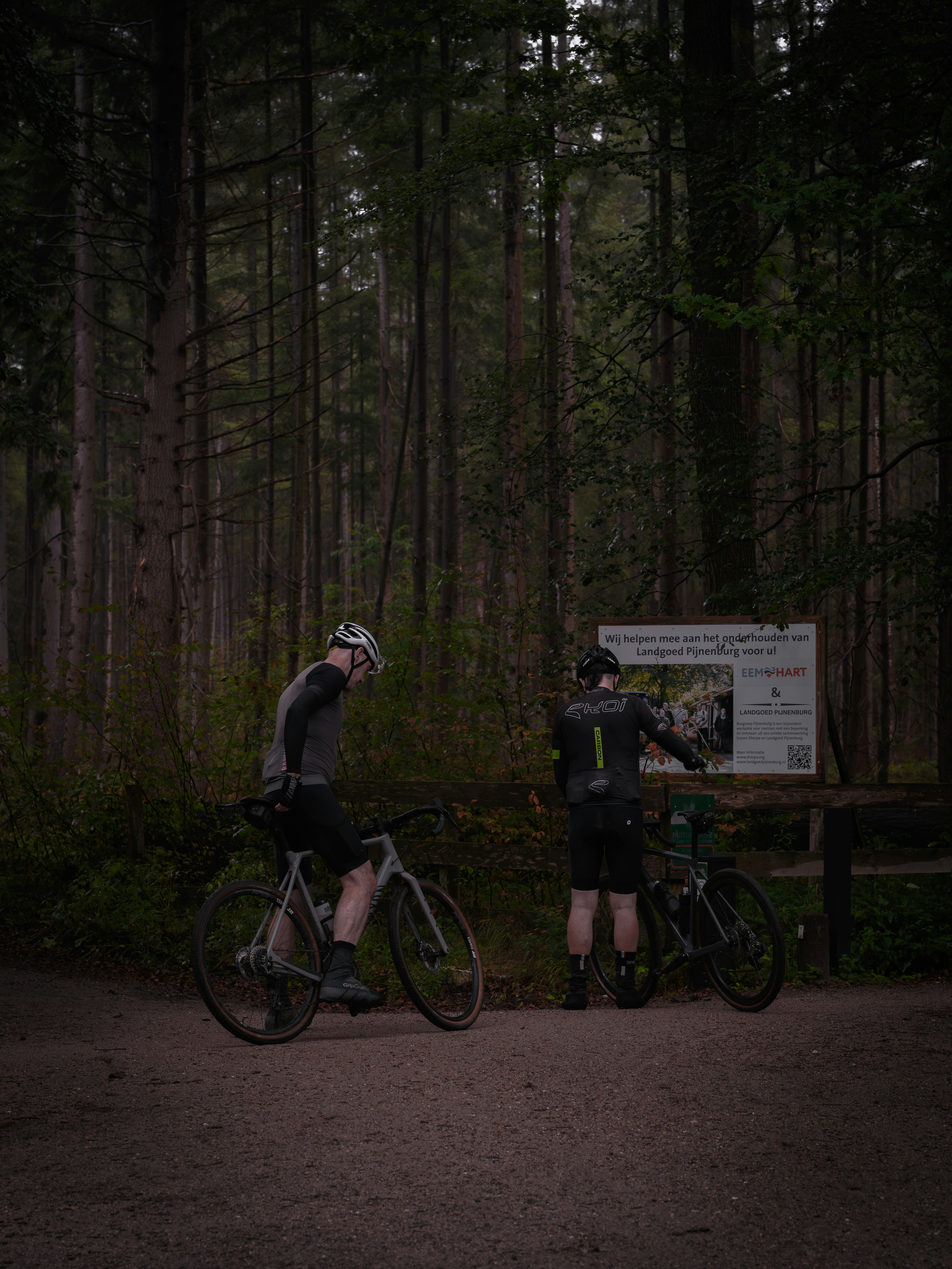 Cyclists at the Forest Trail Sign