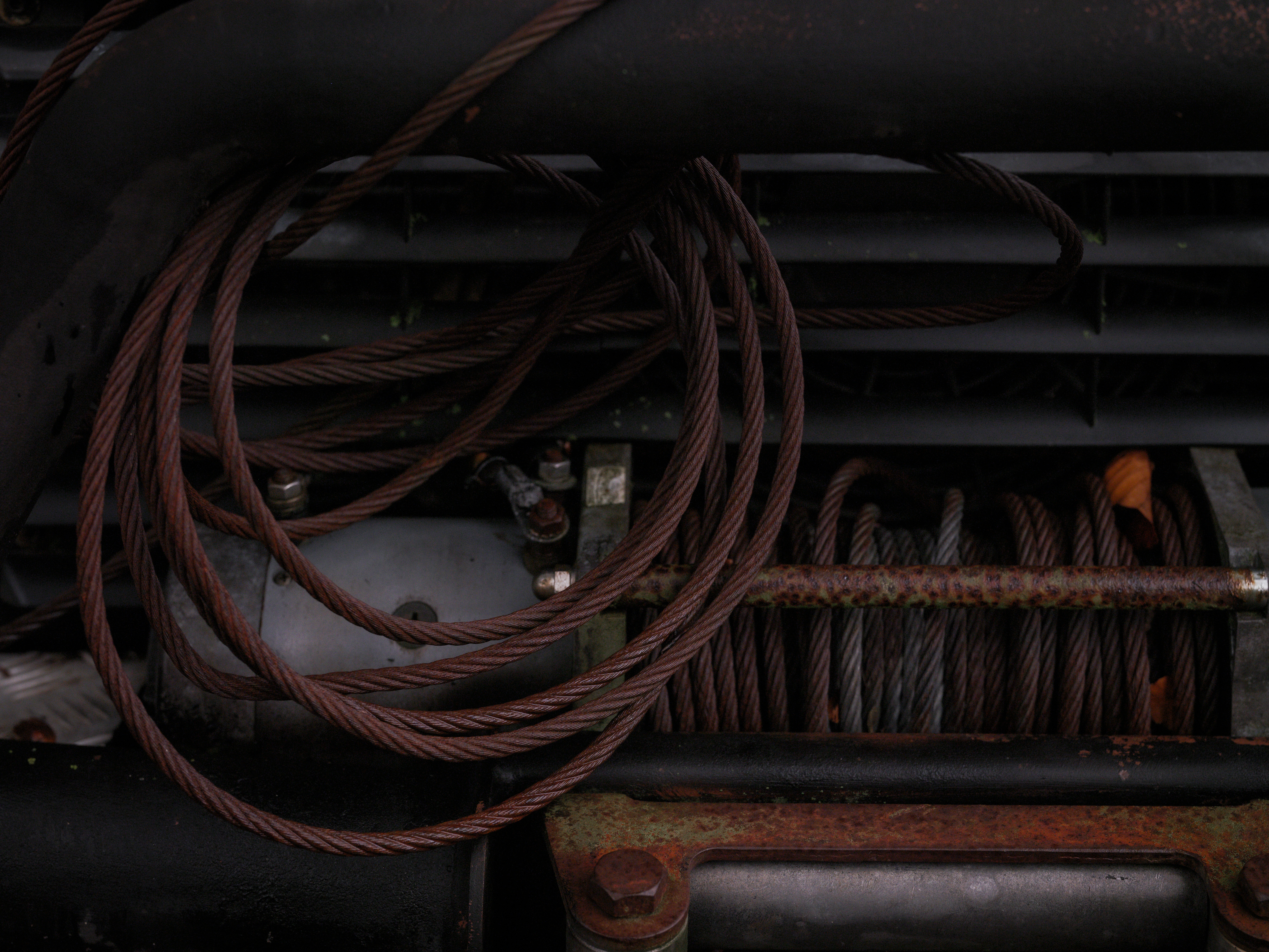 Rust and Rope: Industrial Textures Tangle in a Dark Mechanical Scene