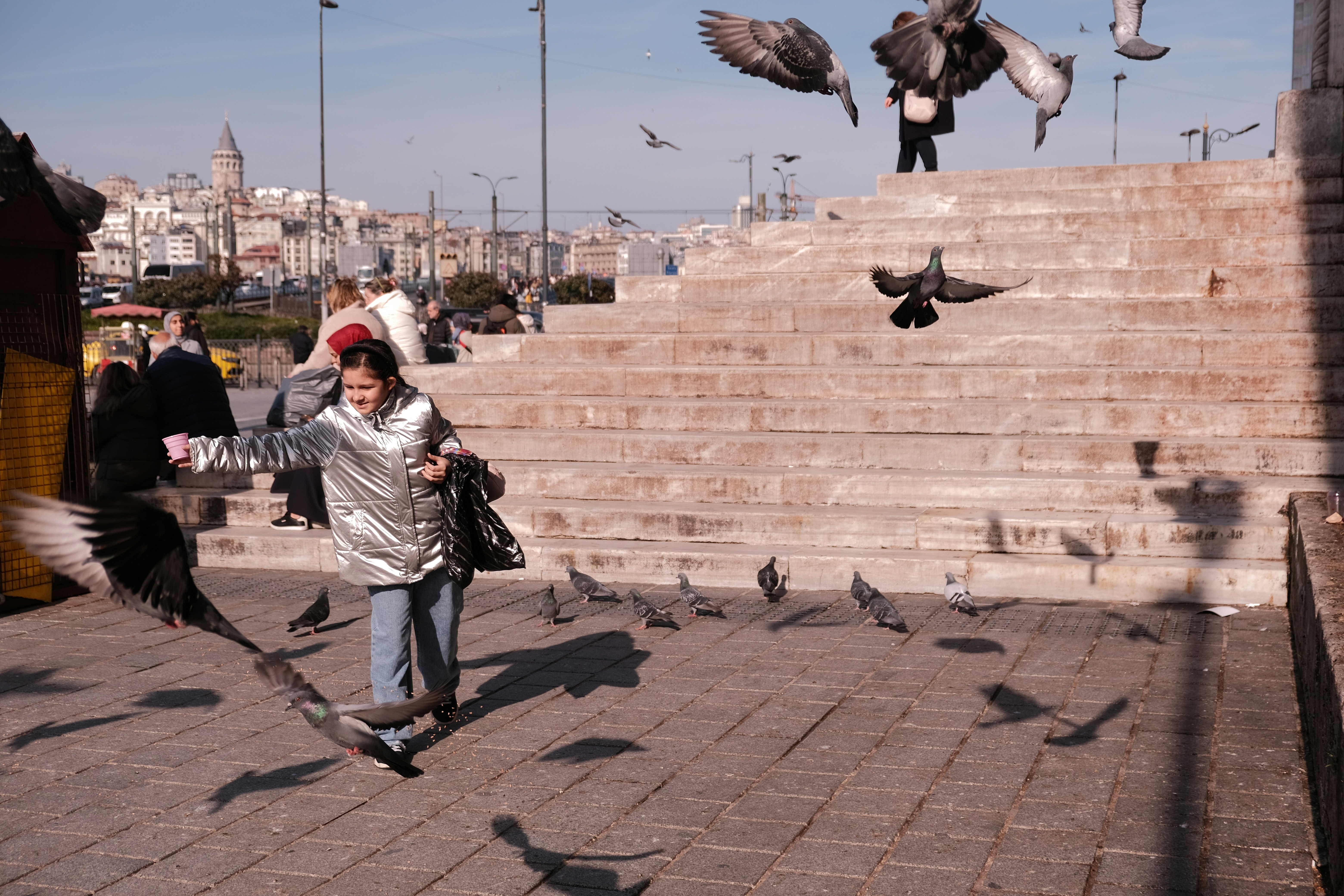 Silhouette of Wings and Steps: A Moment with Free-Flight Pigeons