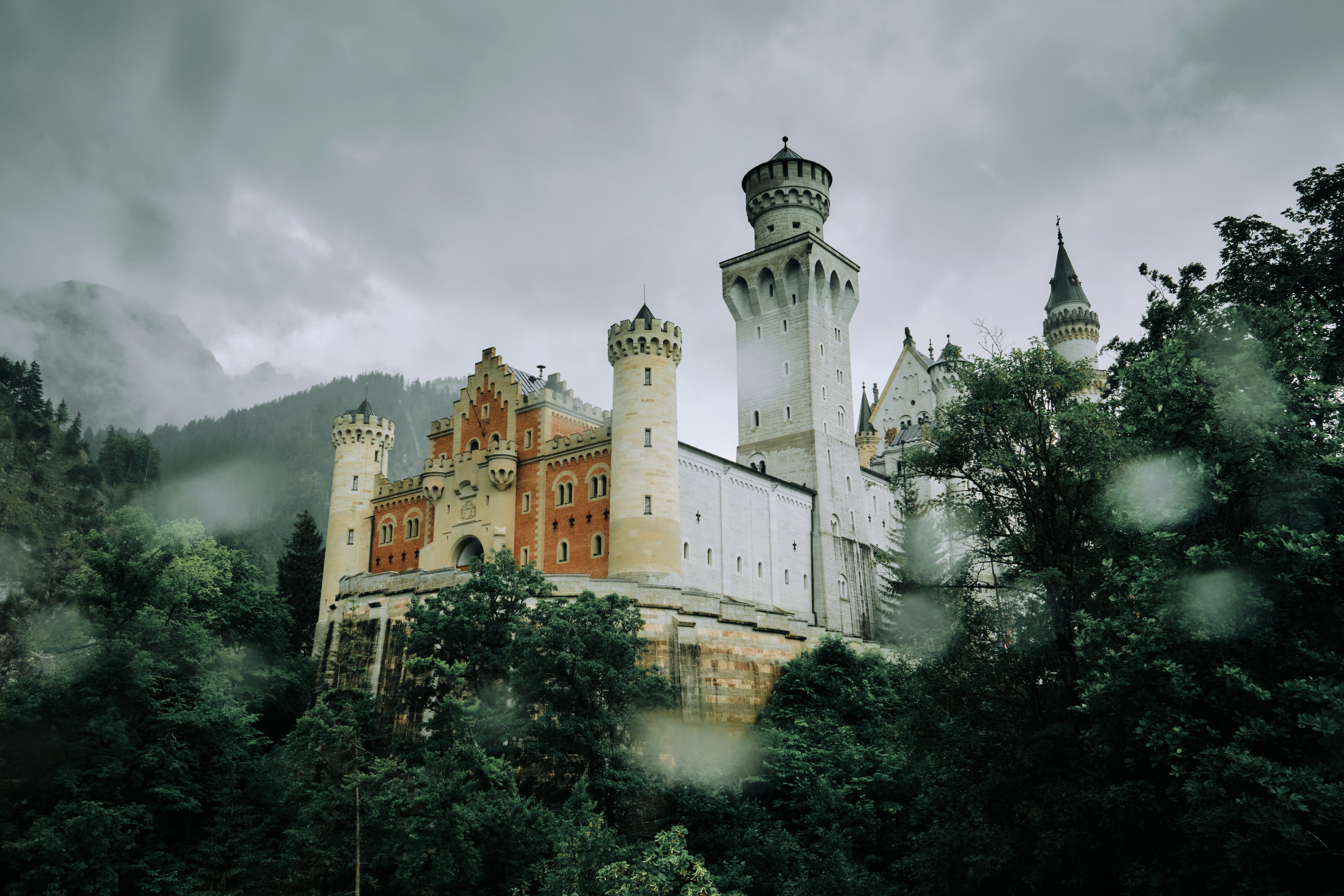 Castle Crowned in Mist: A Verdant Fortress Watching Over the Pines