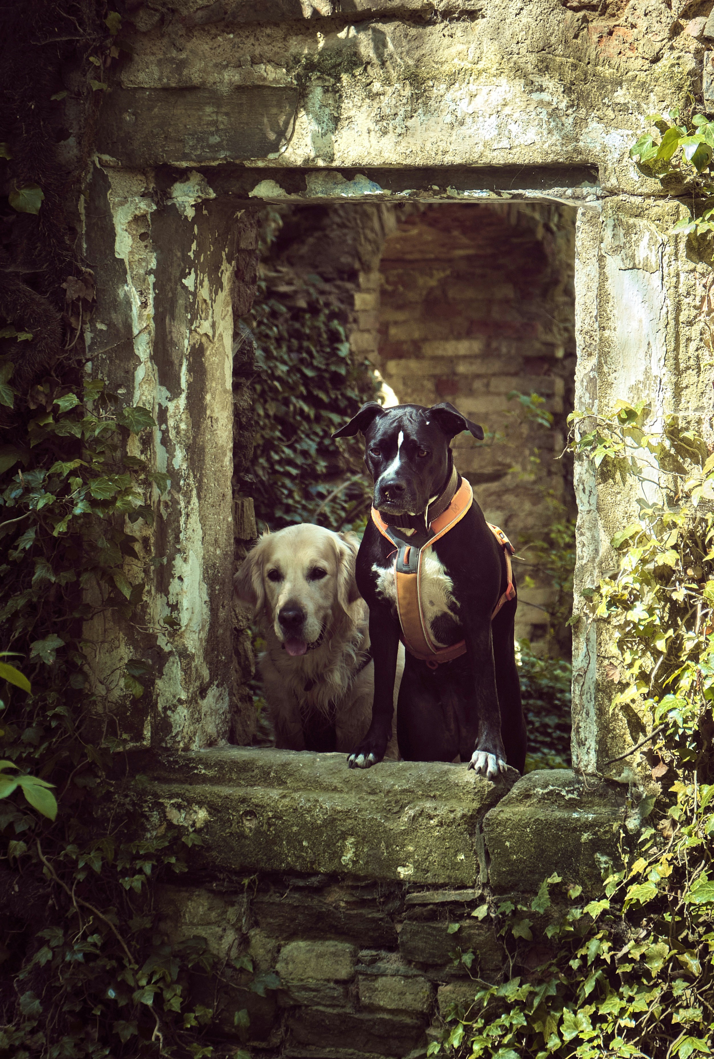 Guardians of the Crumbled Archway
