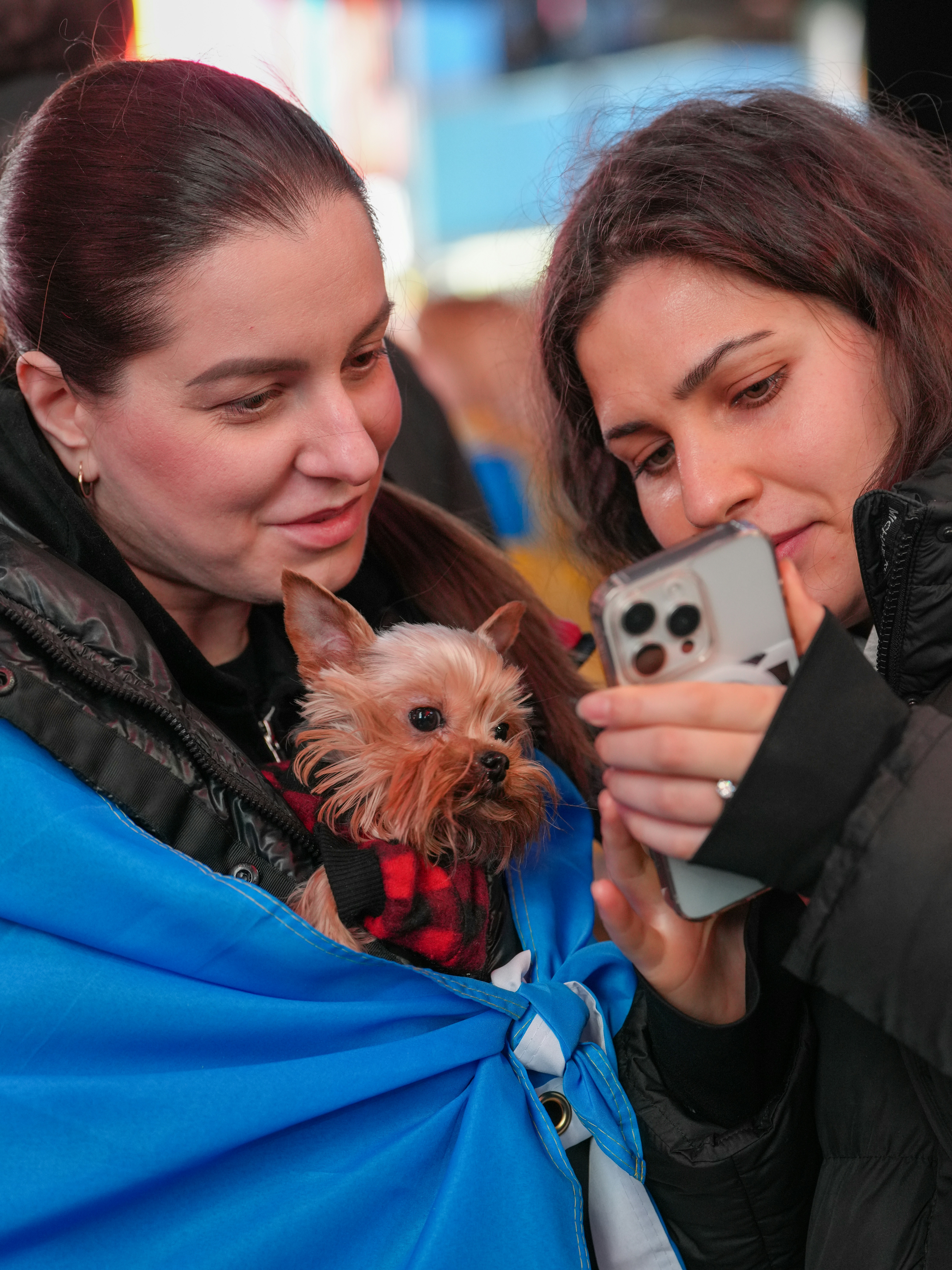 Friends Share a Moment: A Tiny Dog, A Big Smile