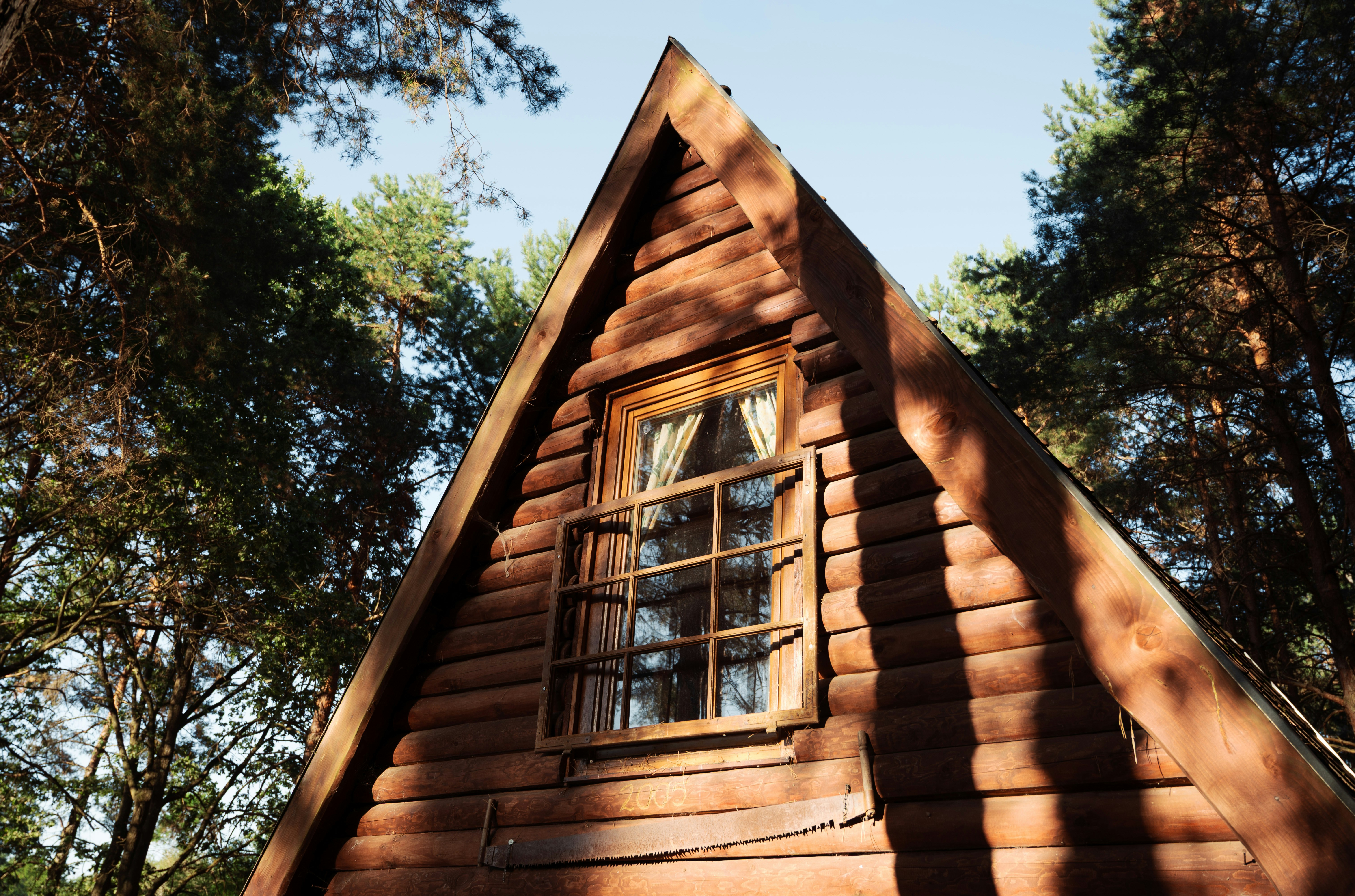 A Sunlit Gable: Craftsmanship Amid Pines