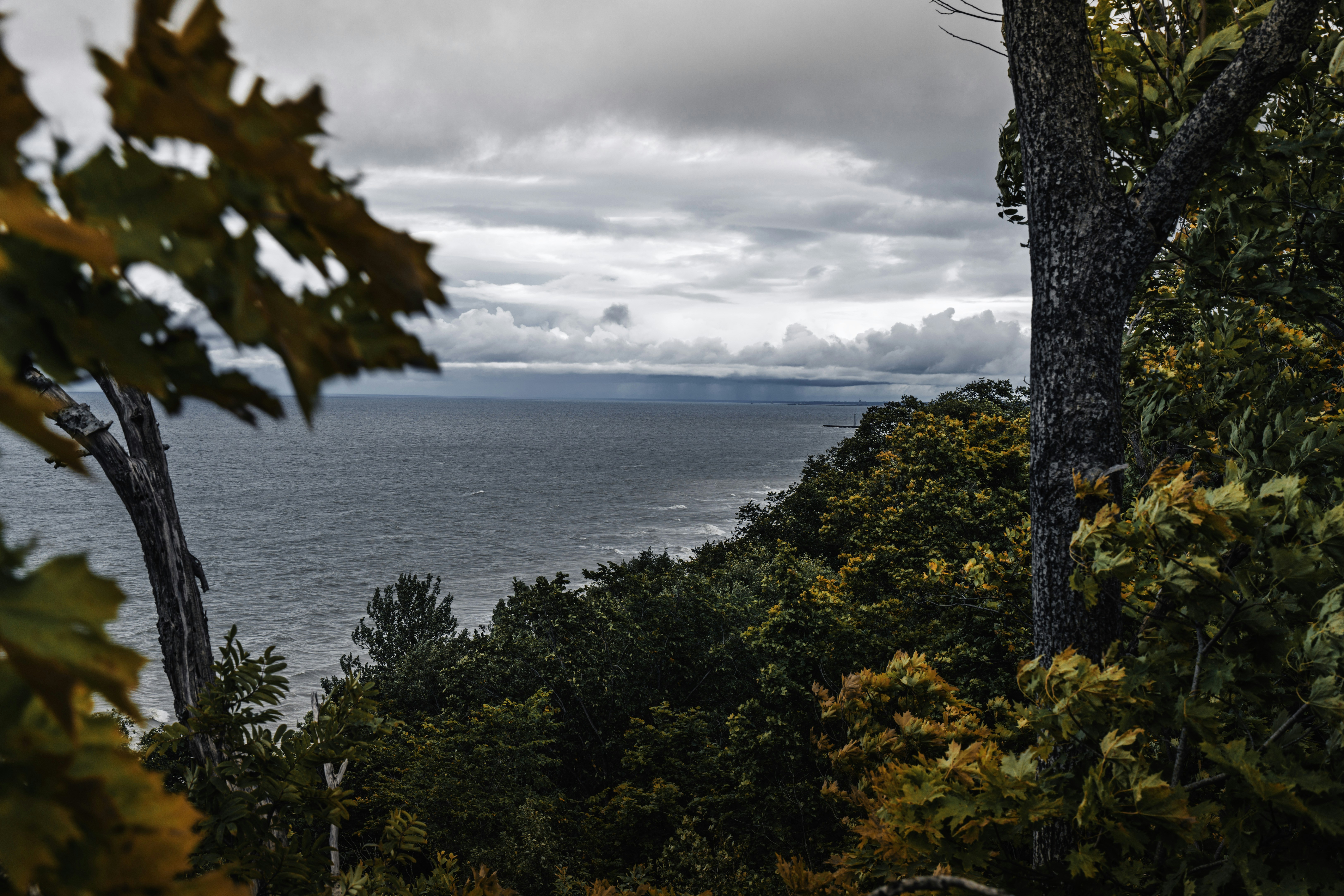 Autumn Cliffside Overlook to the Distant Sea