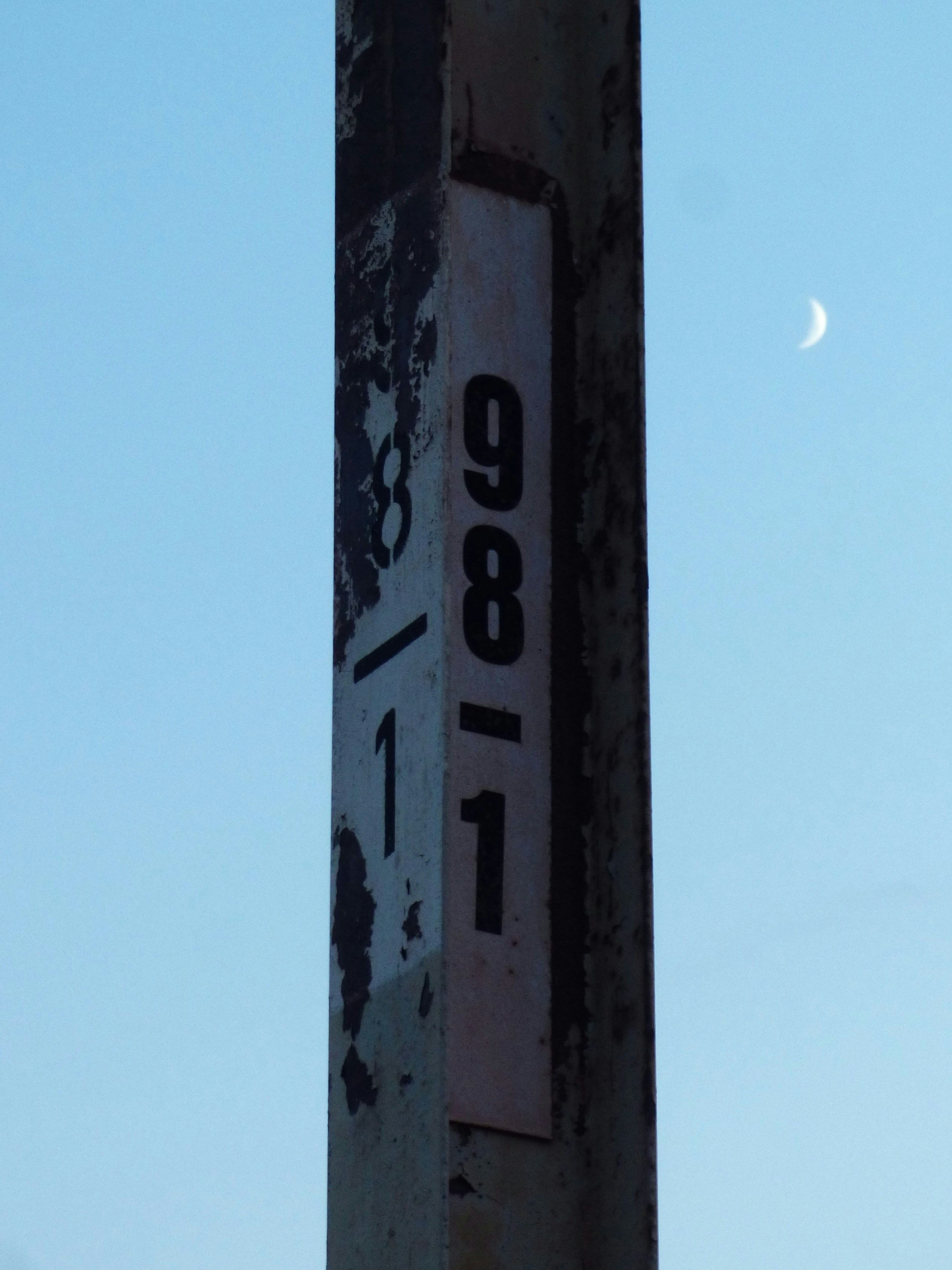 A Weathered Street Marker Reaching for the Sky