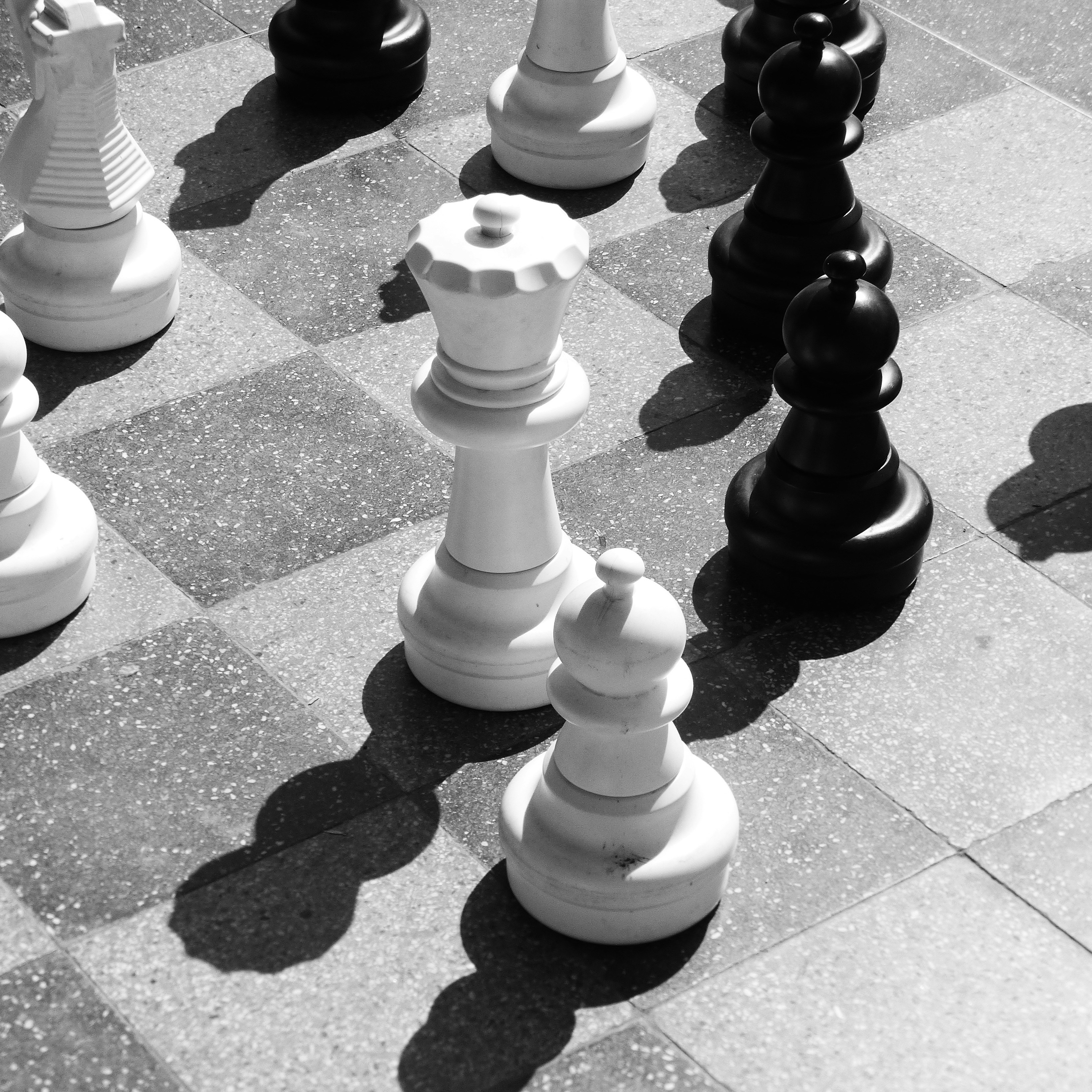 White King Standoff on a Sunlit Chessboard