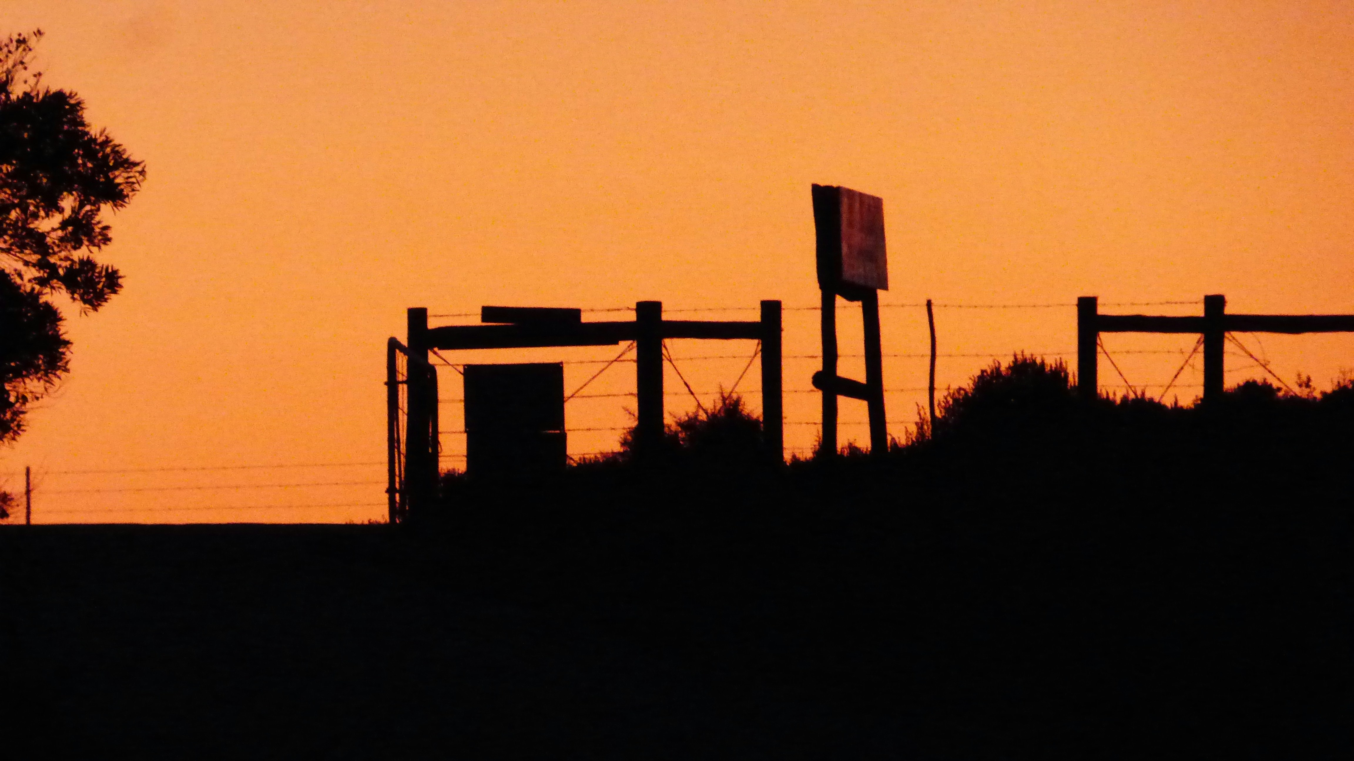 Silhouette at Dusk: Industrial Rails of an Orange Horizon