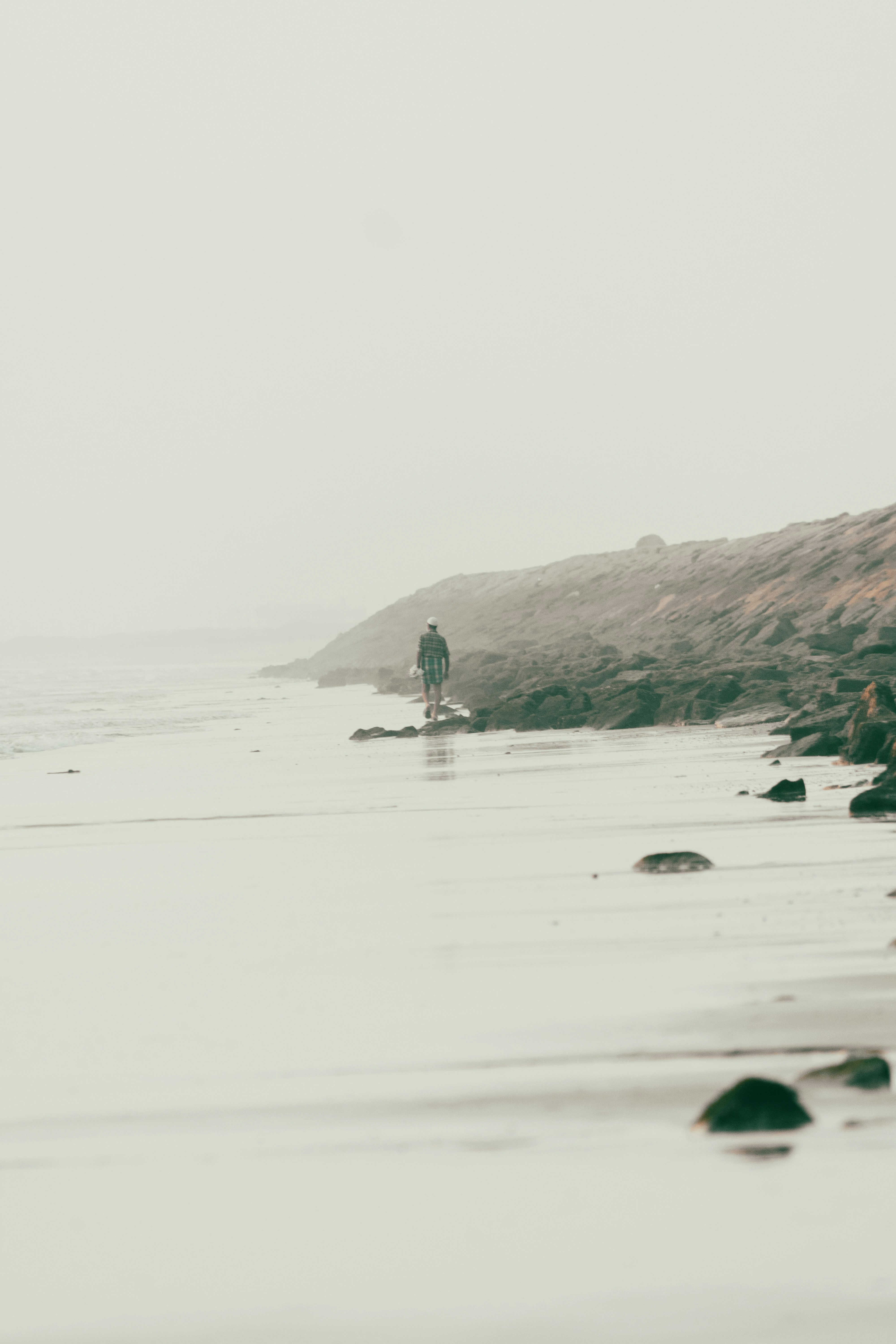  solitary figure at the coastline: mossy rocks, pale horizon