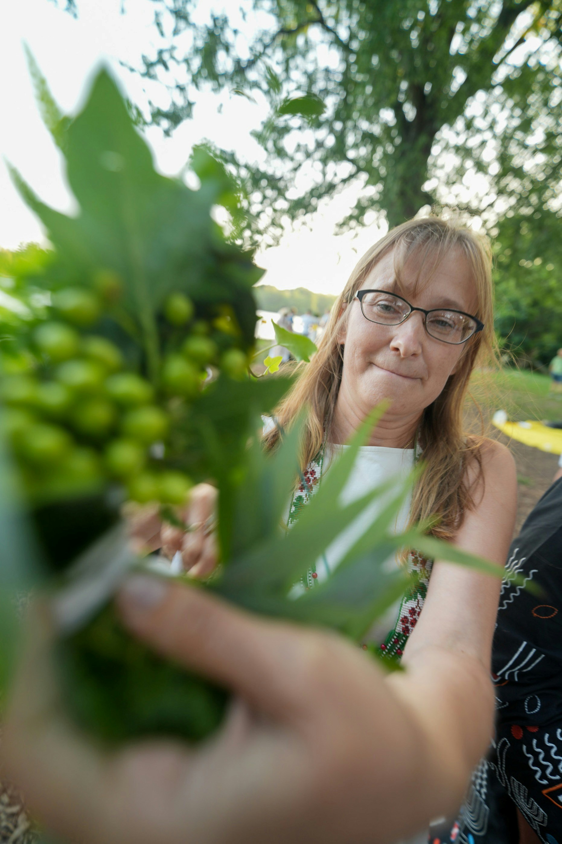 Smiling Shield: A Glimpse Through Greenery
