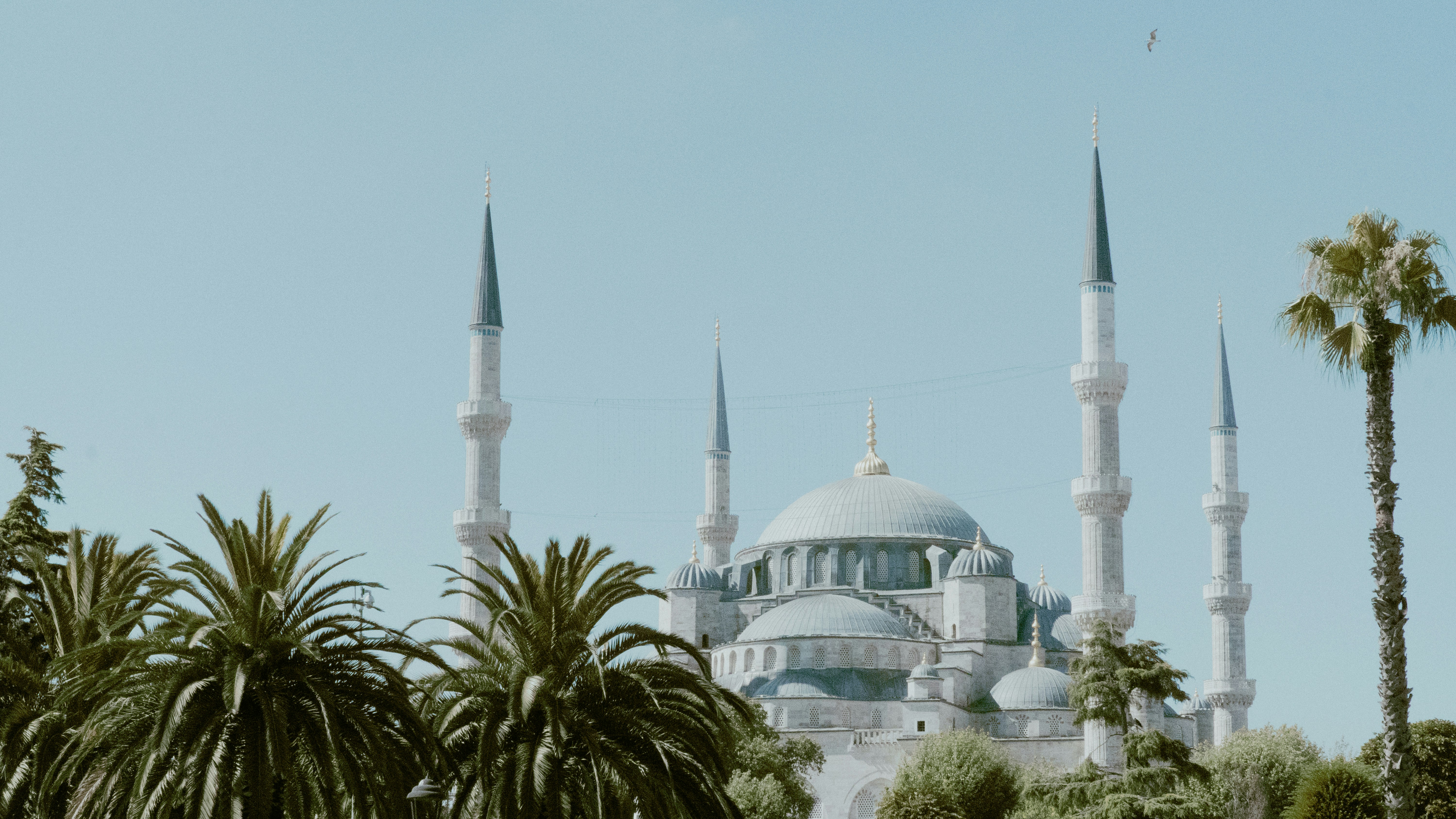 Minarets in Bloom: A Turquoise Mosque Framed by Palms