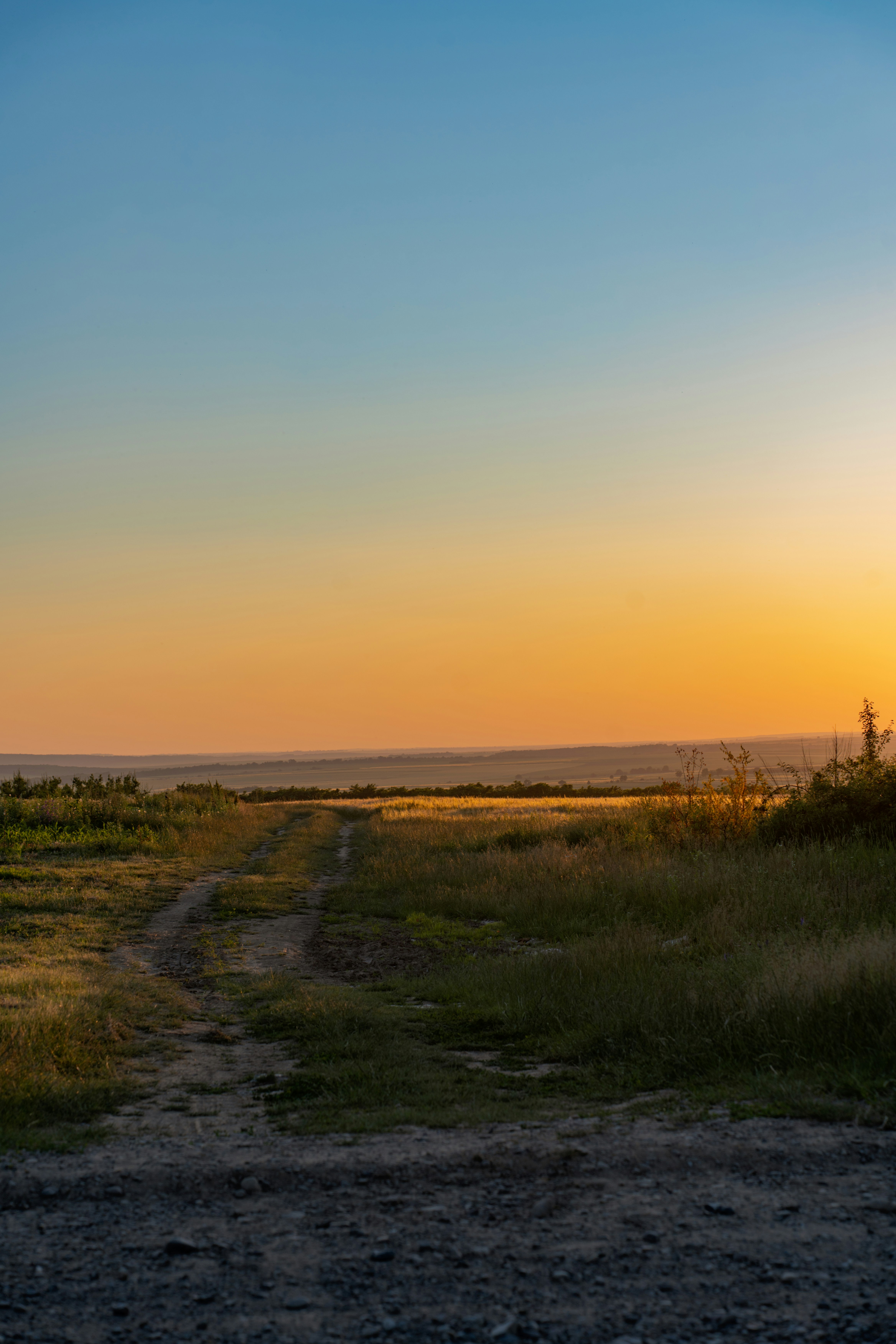 Twilight Trail: A Winding Path into the Distant Horizon