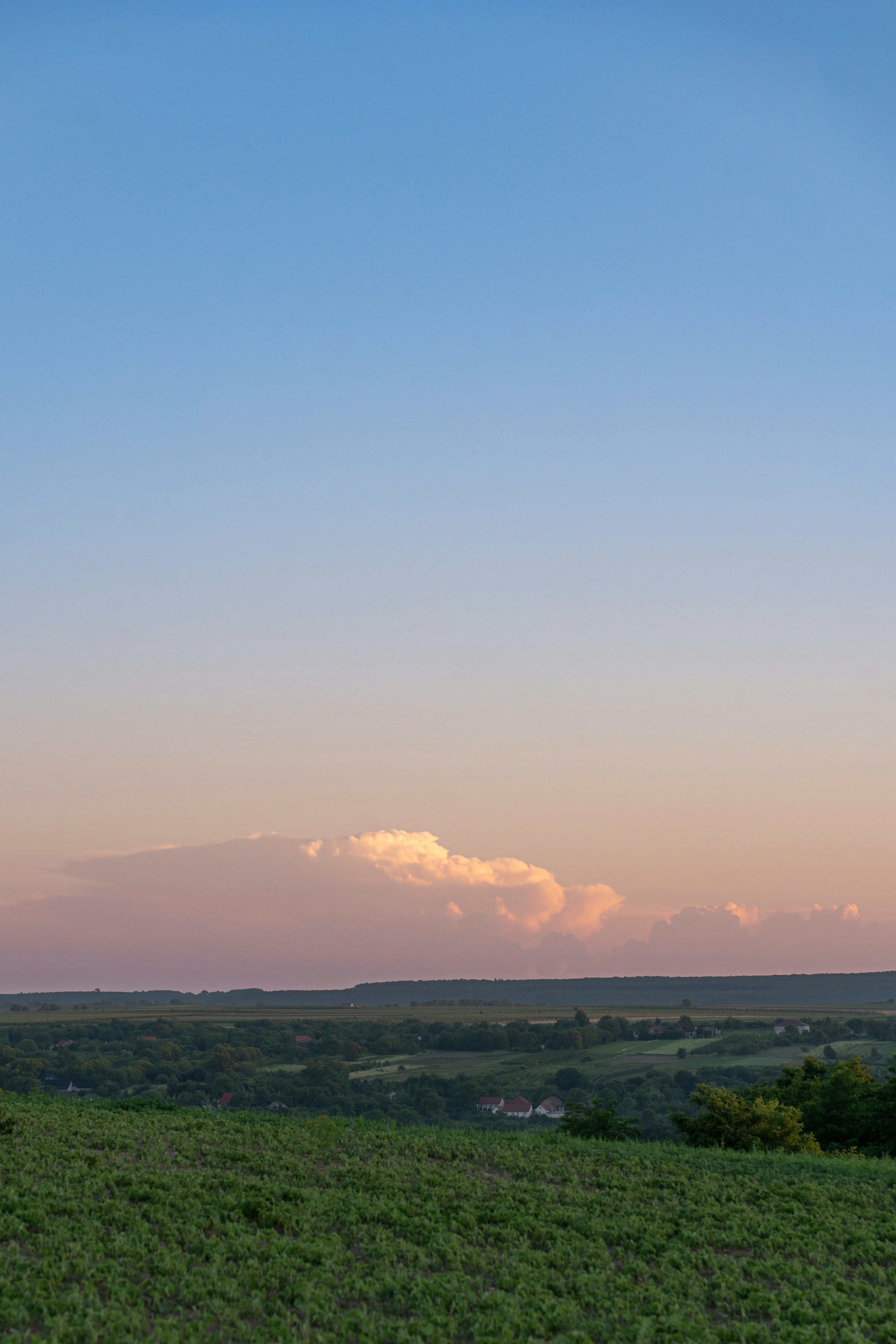 Horizon Mist: A Quiet Valley Beneath a Velvet Sky