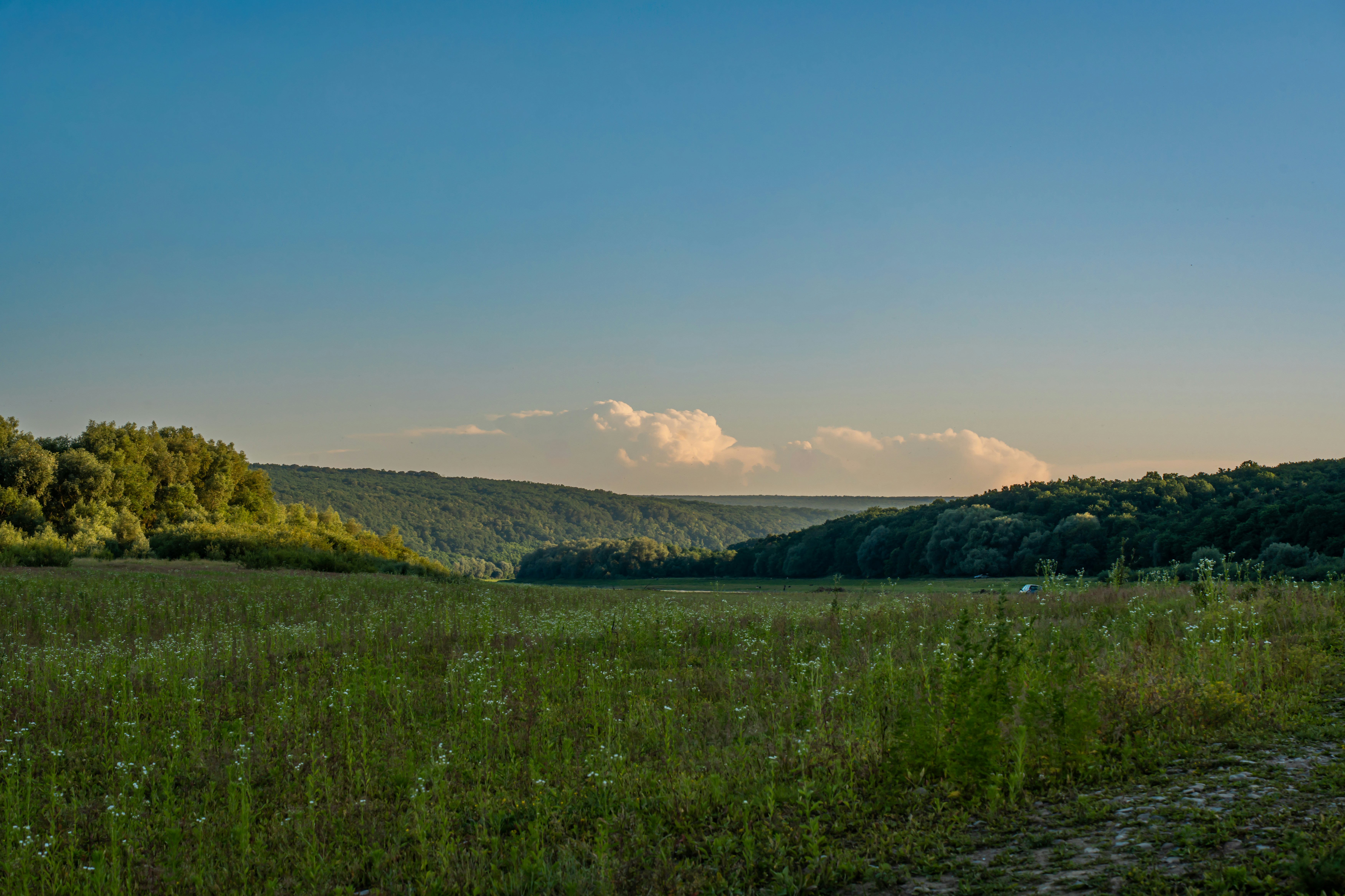 Blue Hour Meadow: Distant Ridge Under a Quiet Sky