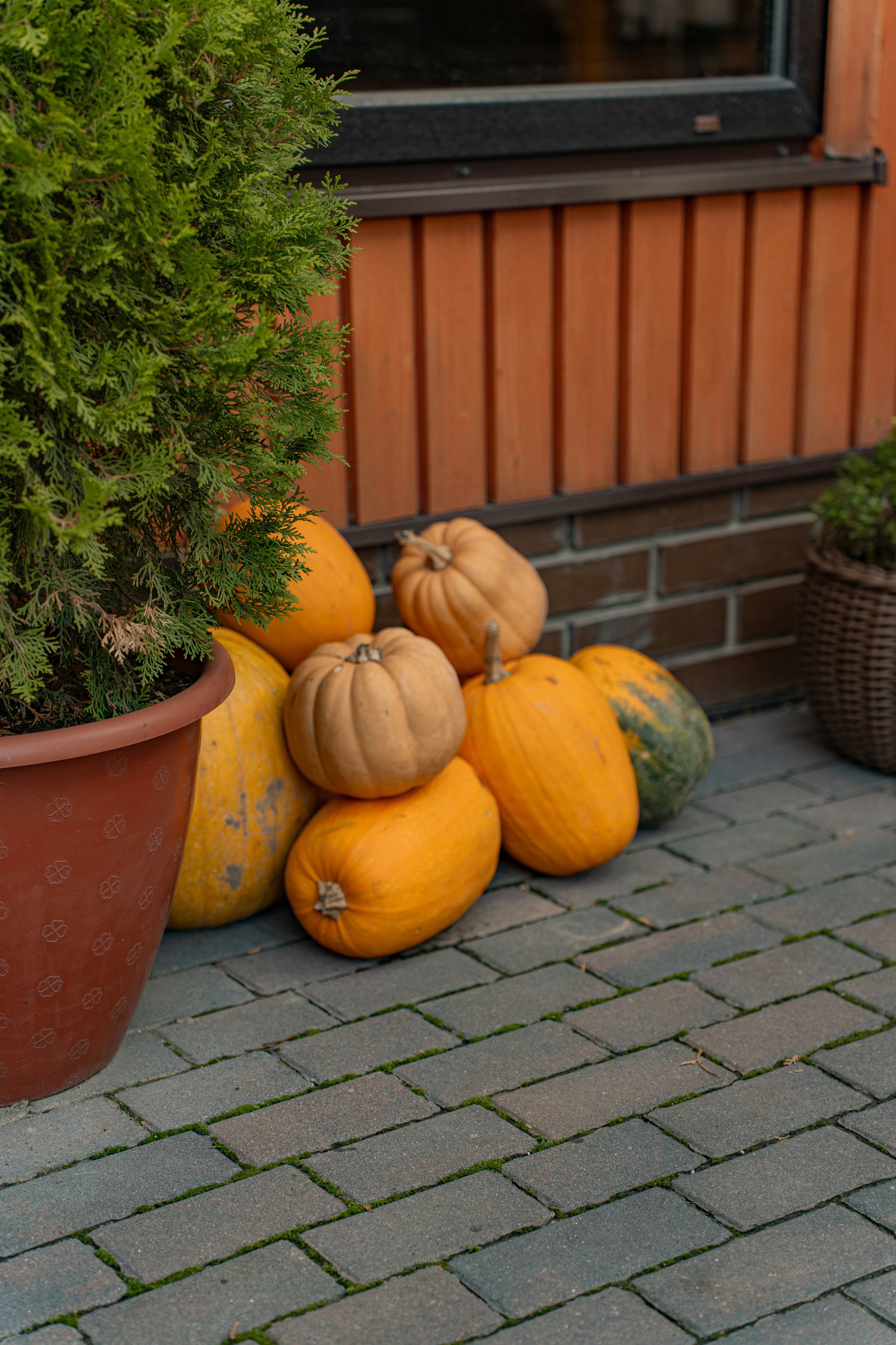 Pumpkins by the Porch: Autumn Harvest at the doorstep