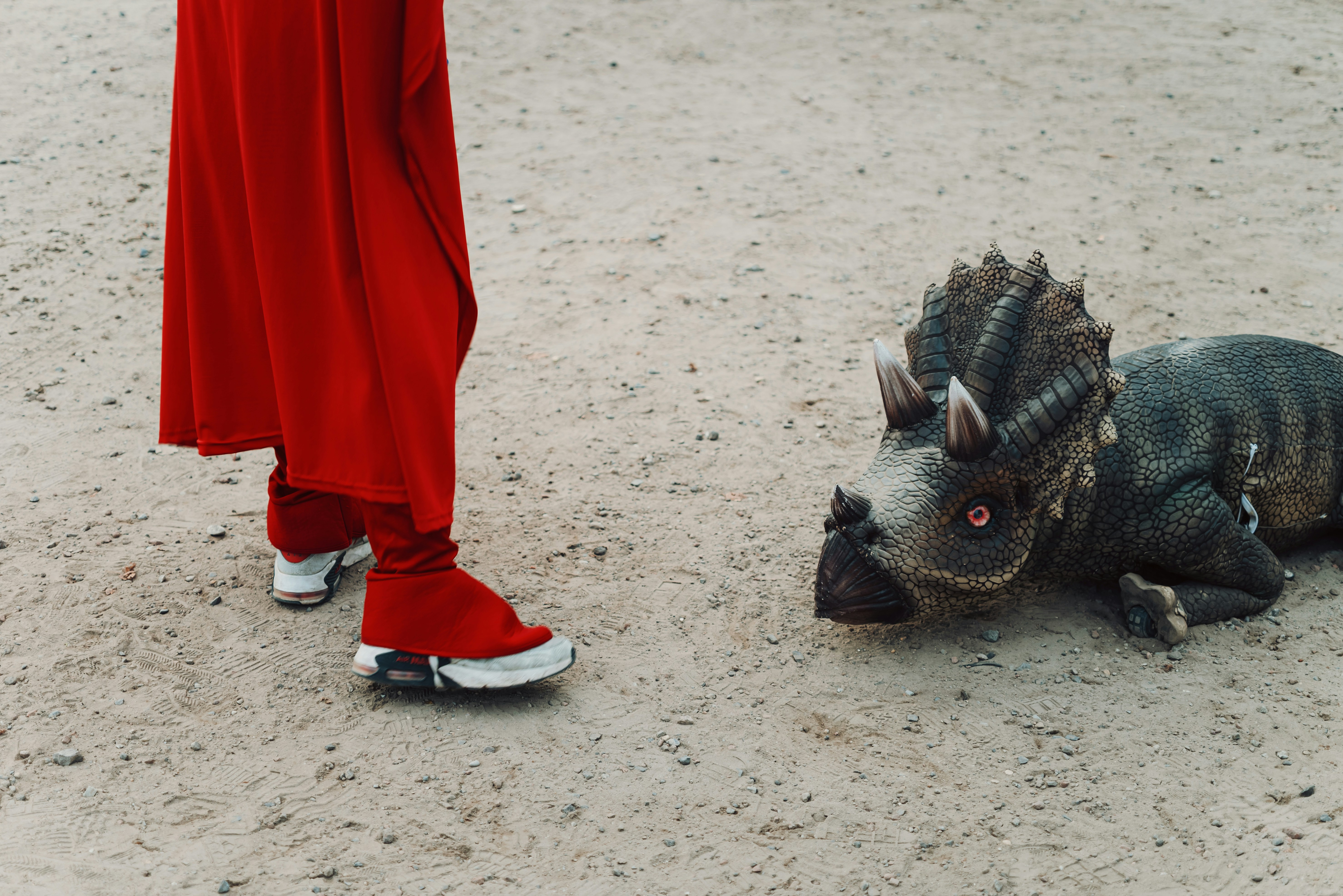 Footwear and Feral Toy: The Stare of a Tiny Dino