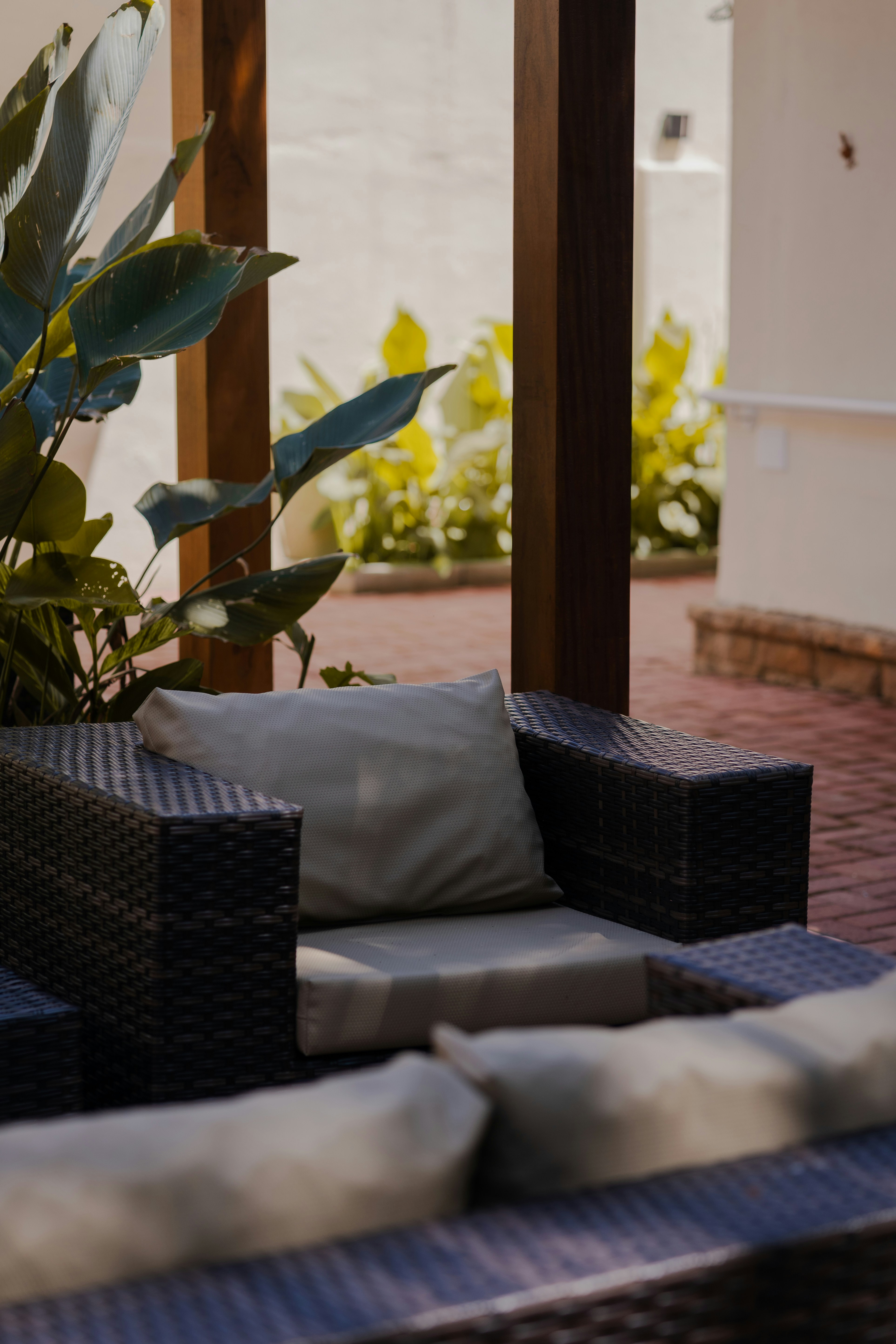 Cozy Patio Silence: Woven Cushions and Sunlit Leaves