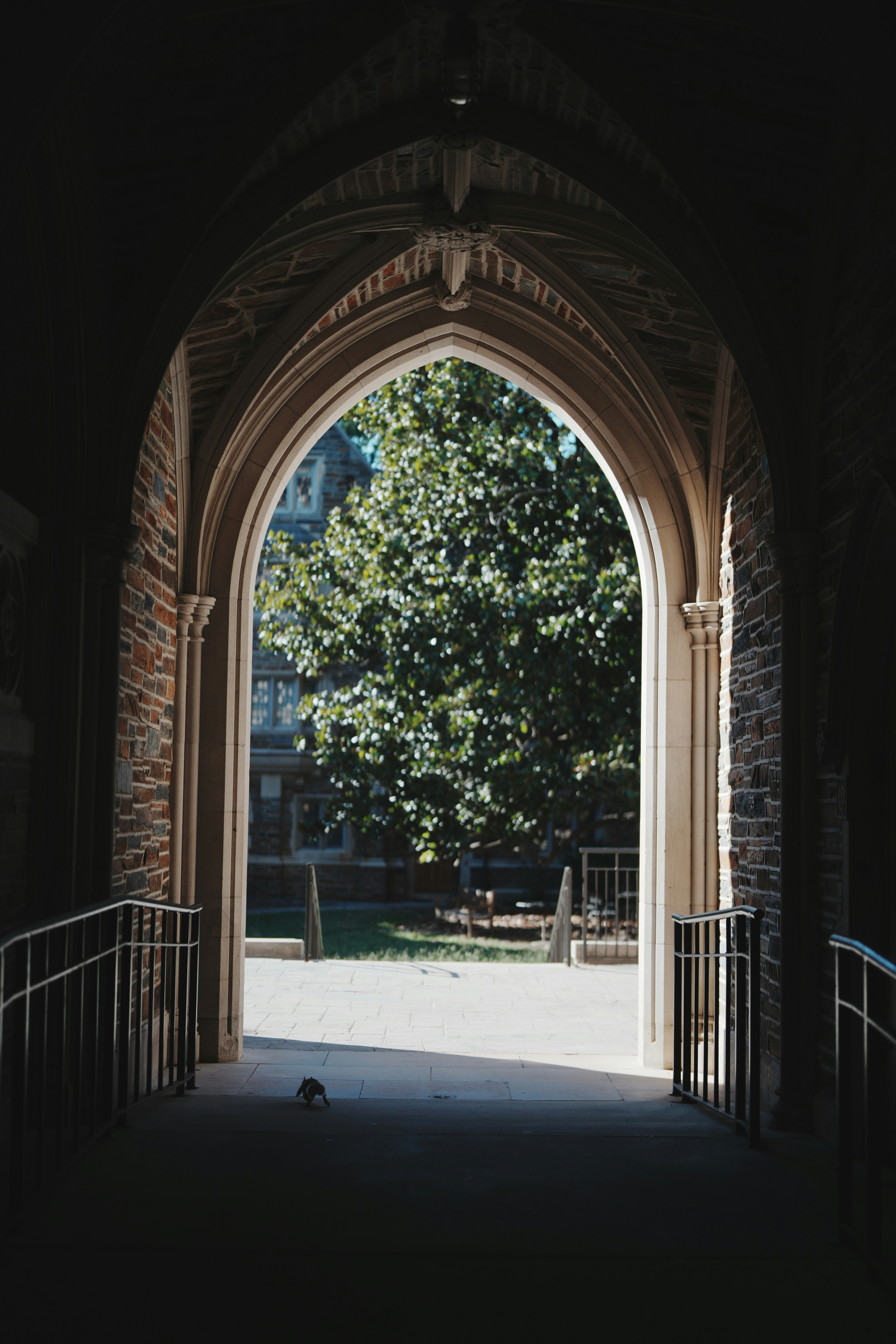 Arched Gateway to Light: A Quiet Verge of the Courtyard