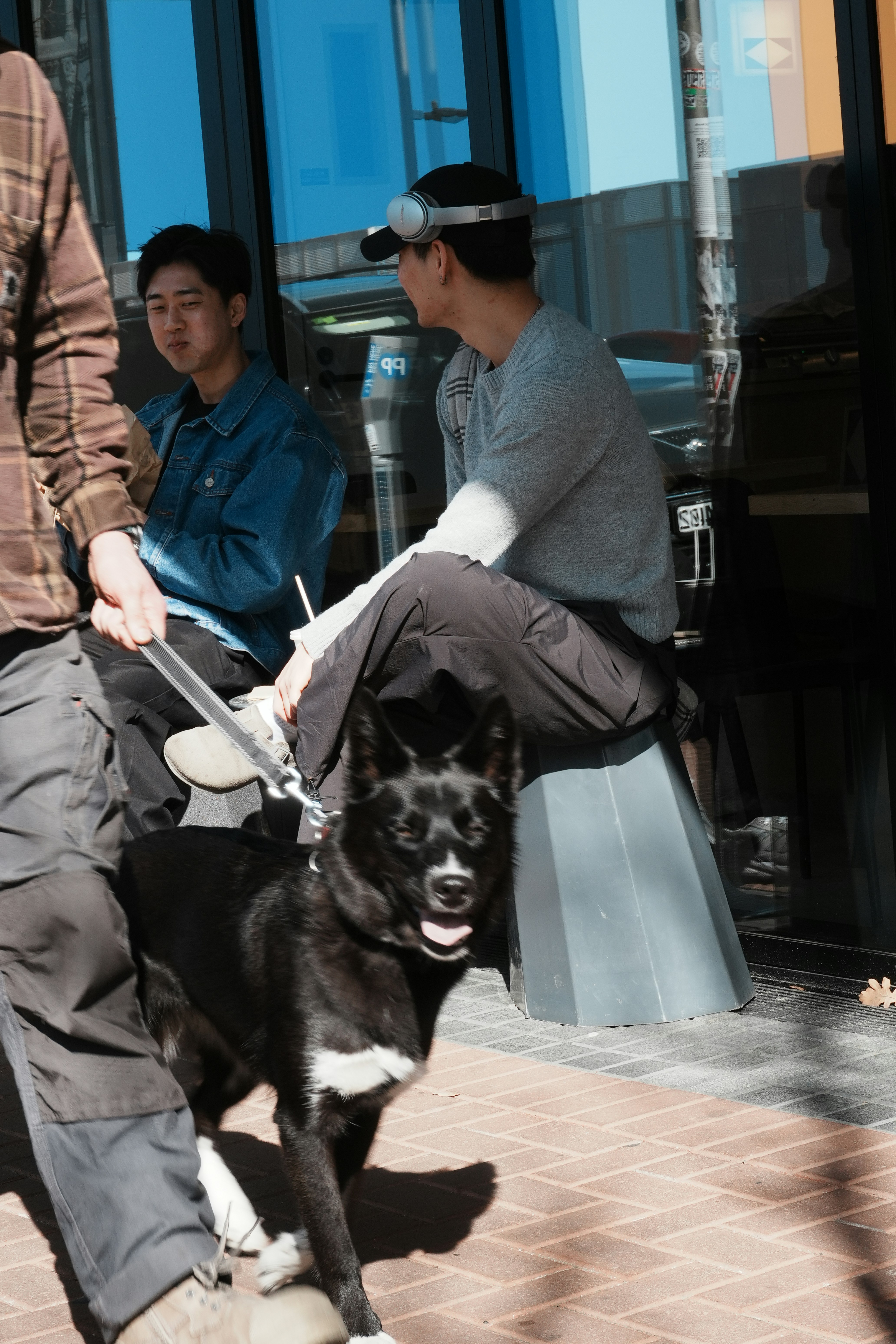 Urban Moment: Two Friends and a Leashed Black-and-White Dog Outside a Modern storefront