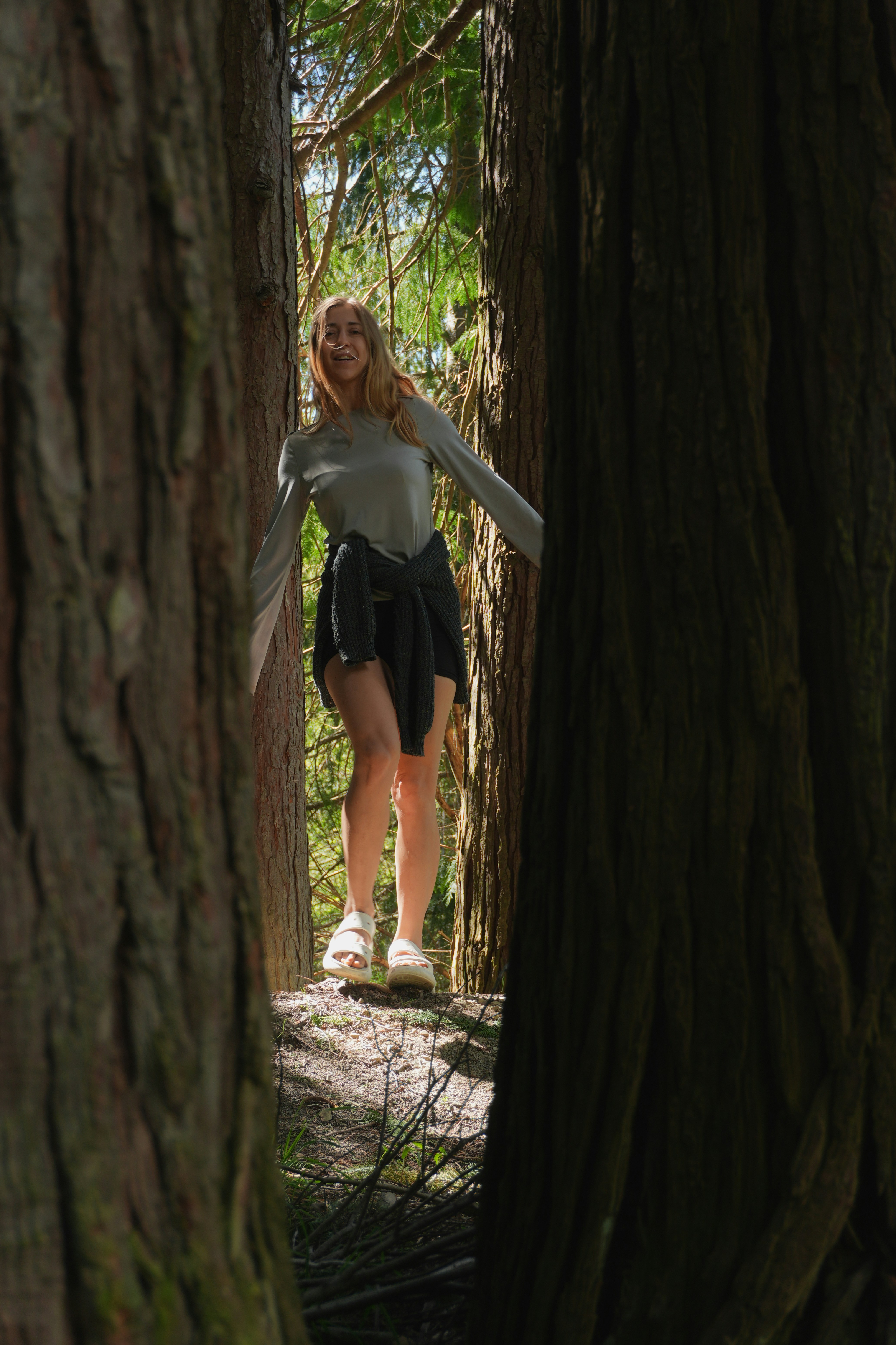 Between Giant Trunks: A Quiet Moment of Balance in the forest