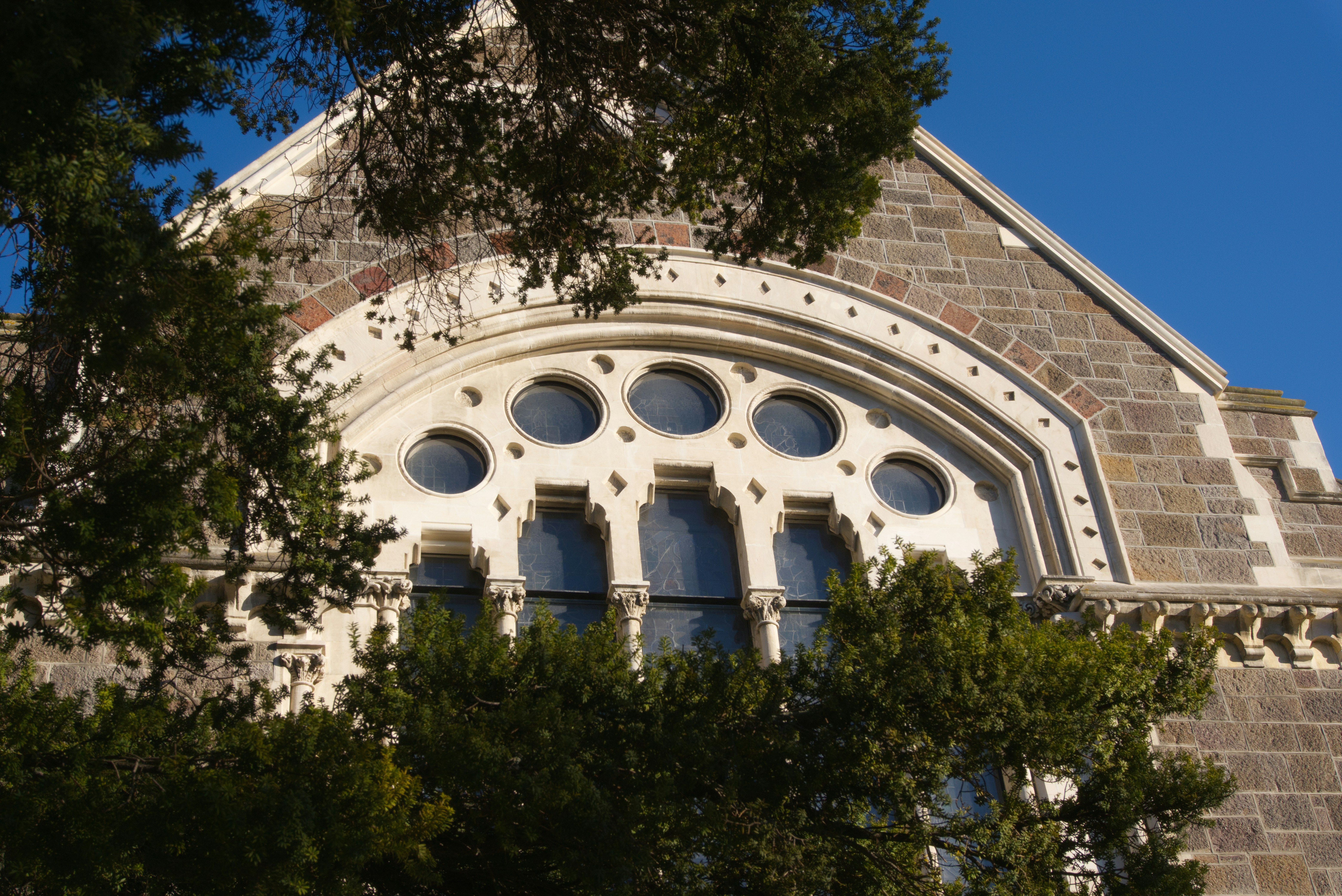 Arched collegiate facade peeking through green frames
