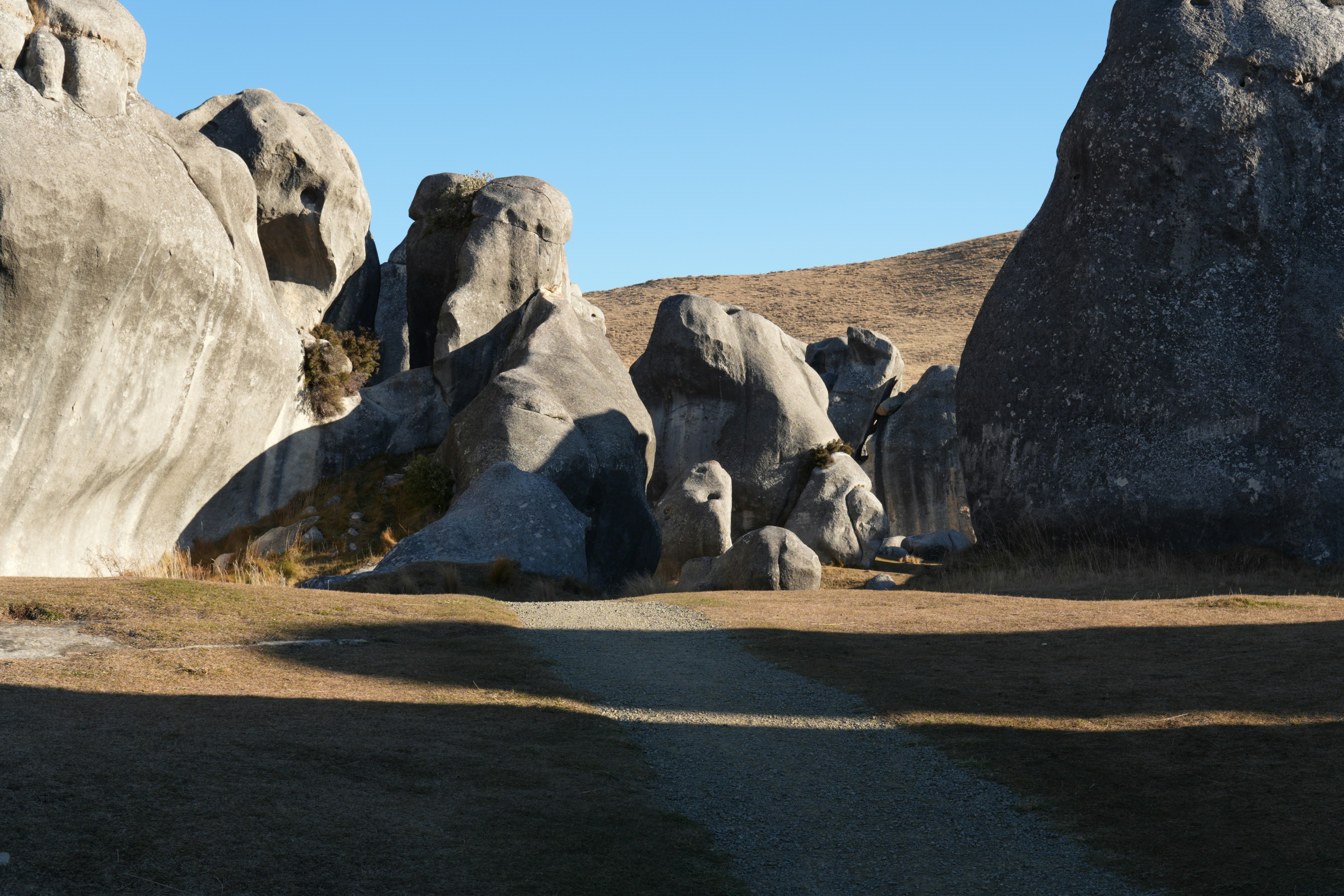 Stone Giants on a Sunlit Canyon Floor