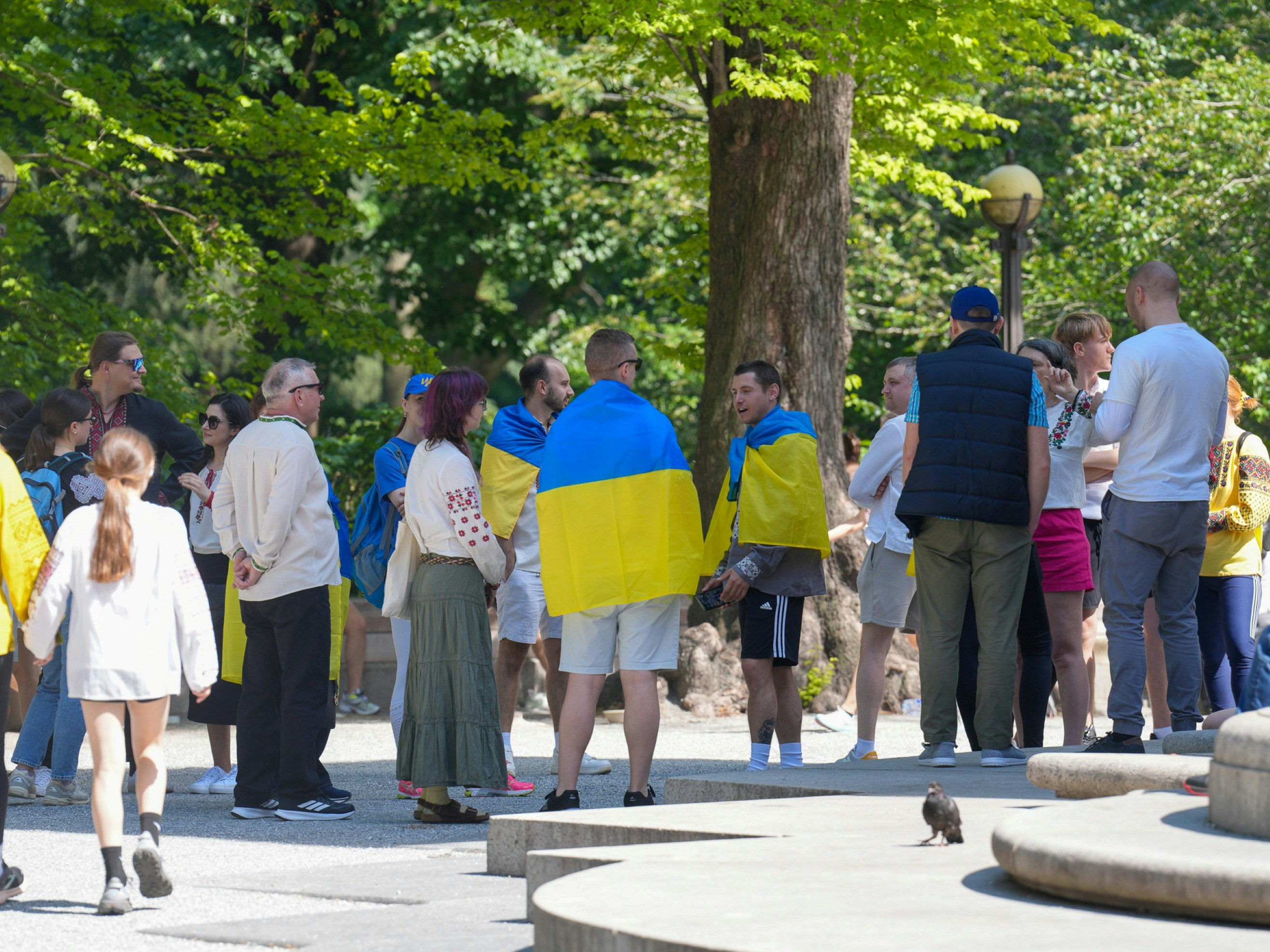 Group of People with Ukrainian Flags in a Park Gathering
